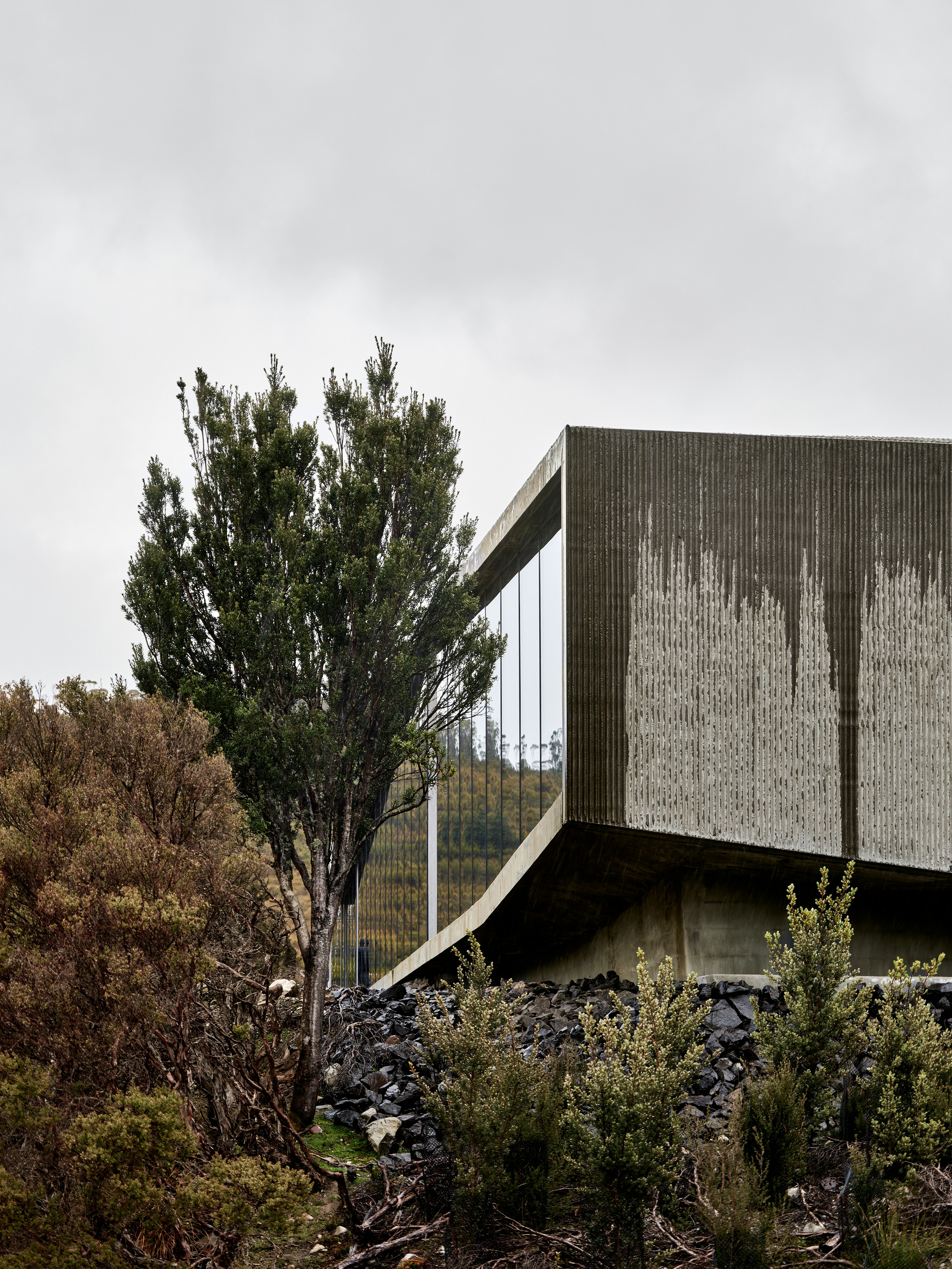 Concrete Balcony Overlook: Architecture Meets Desert Flora