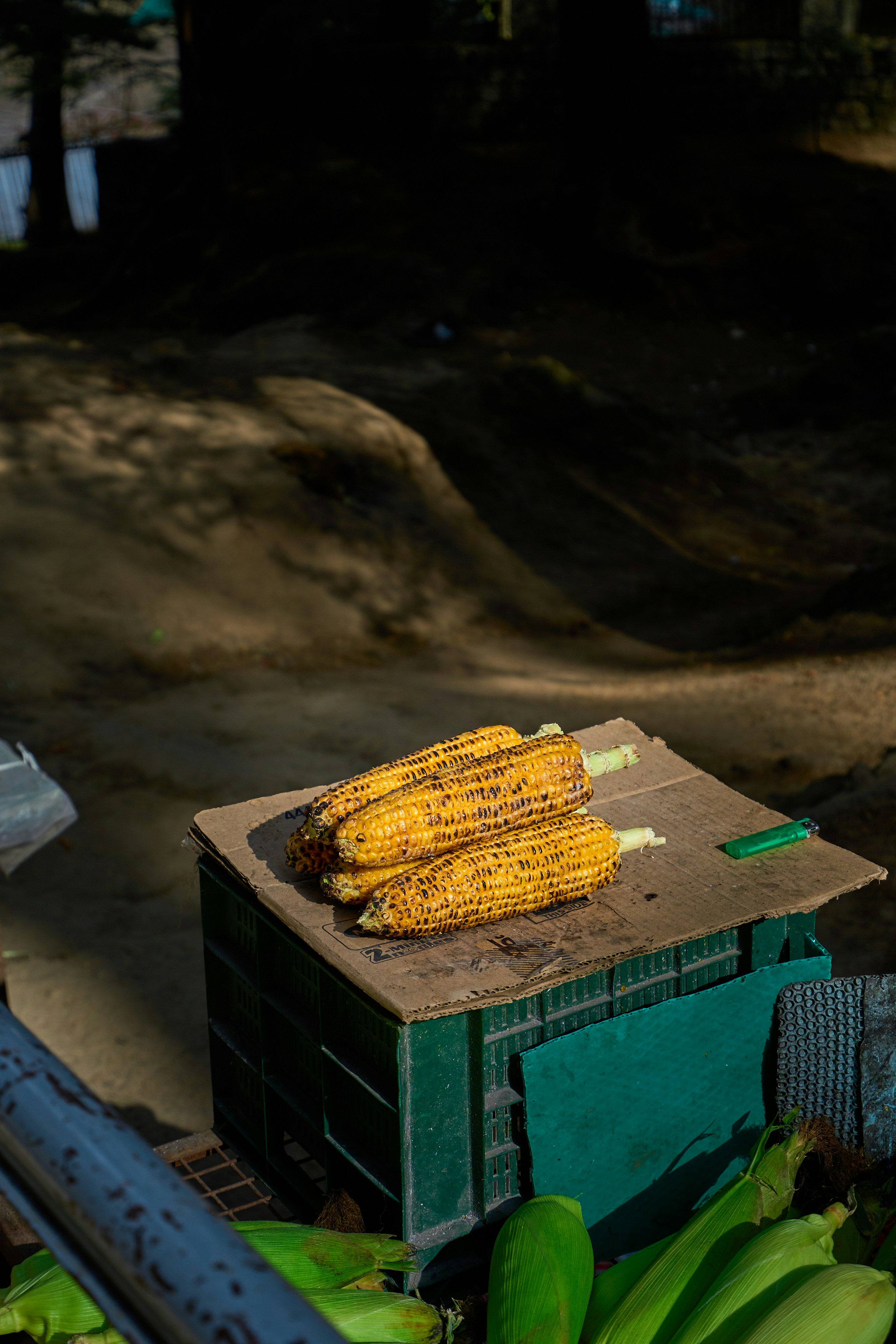 Three husked ears of corn resting on a makeshift workstation
