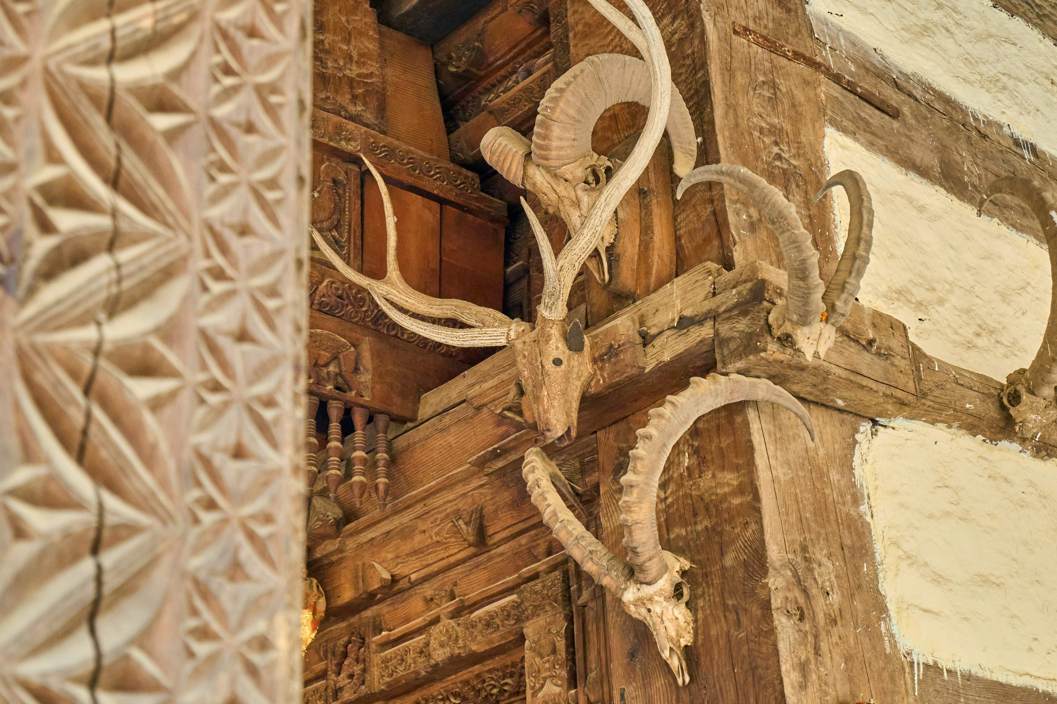Carved ram’s horn motif embeds in a weathered wooden frame