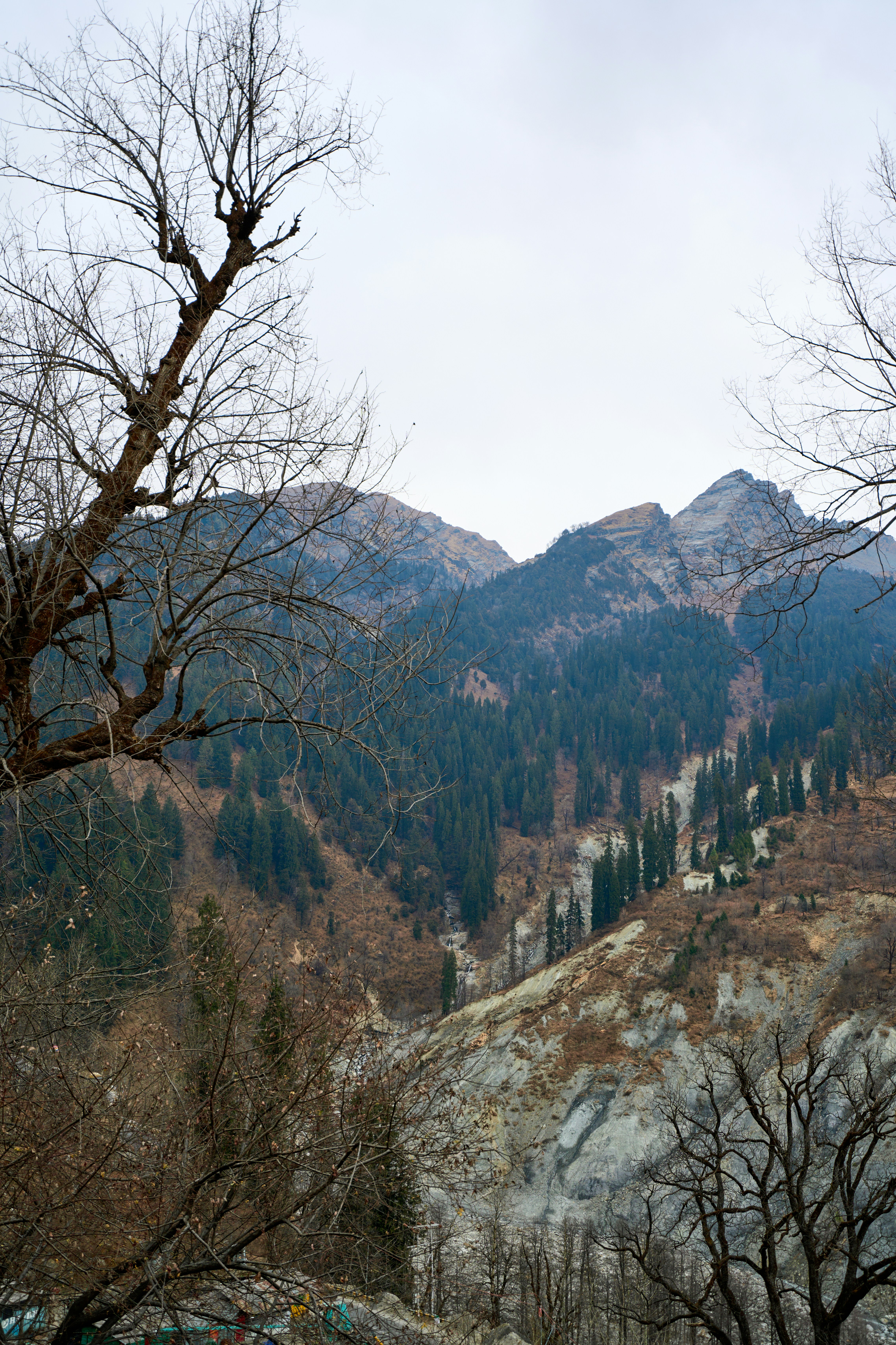 Winter Ridge: A Rocky Skyline Framed by Bare Trees