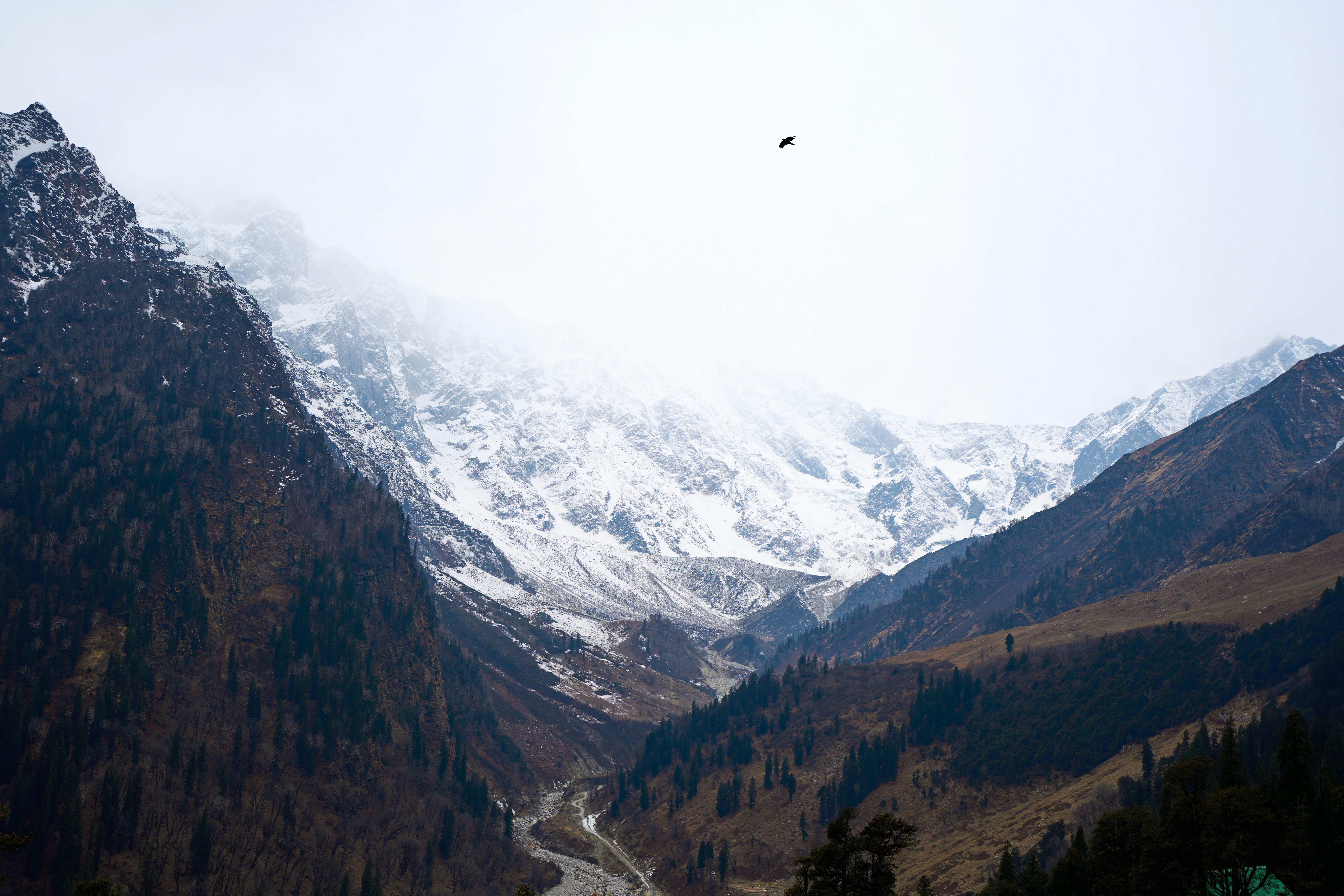 Crescent Valley Under Snow-Clad Peaks