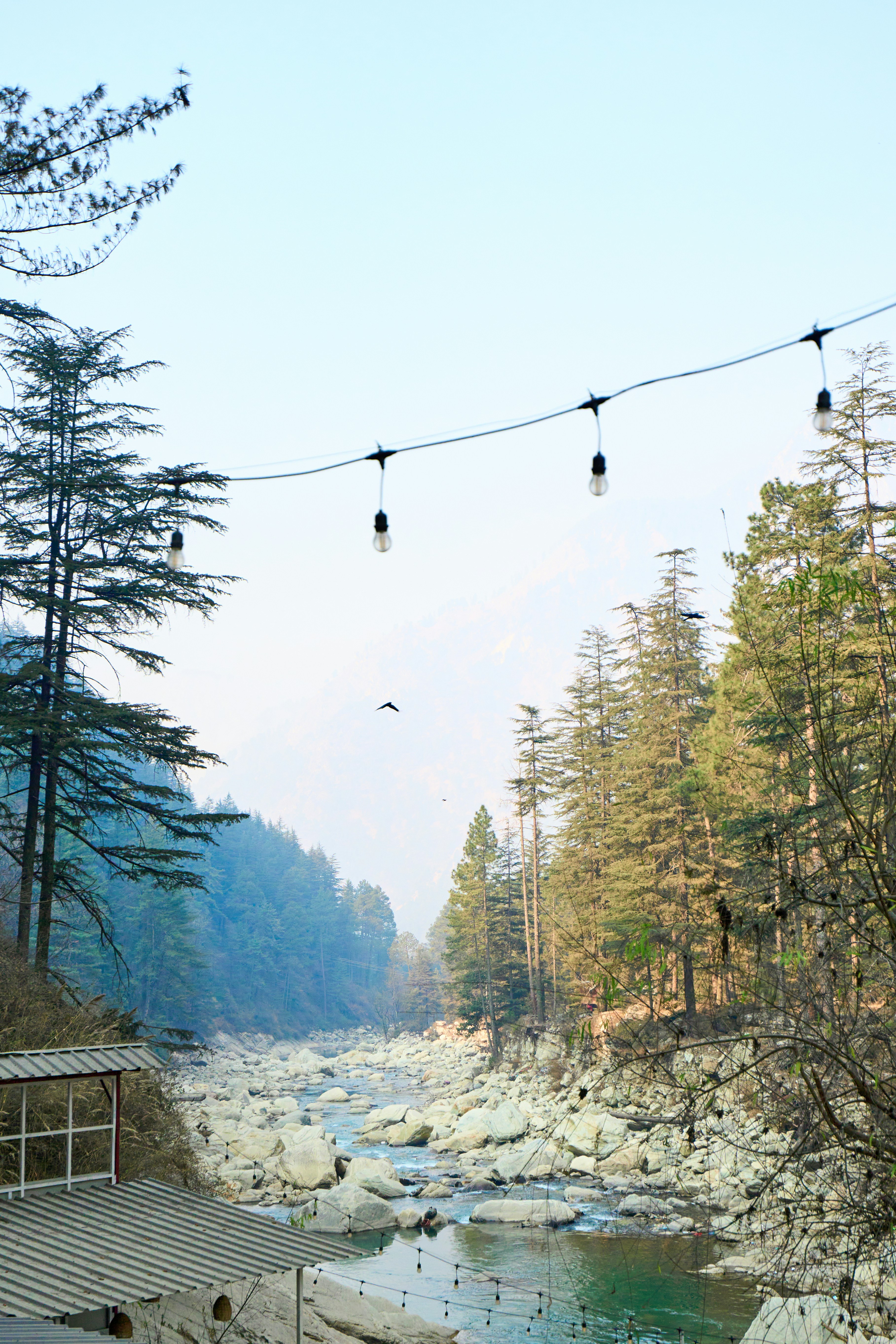 String Lights over a Quiet River Canyon