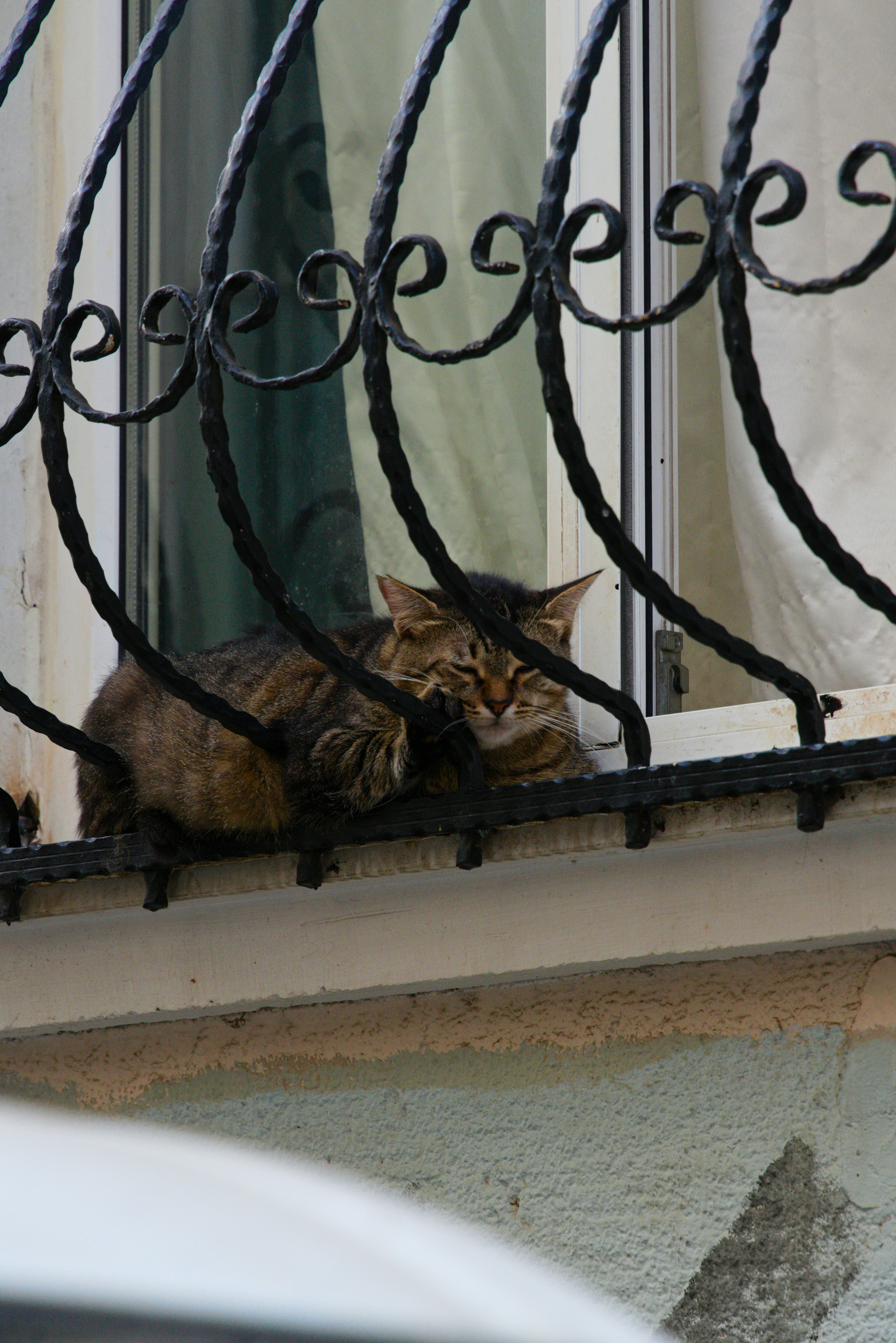 Cozy Alibi on the Iron Lattice