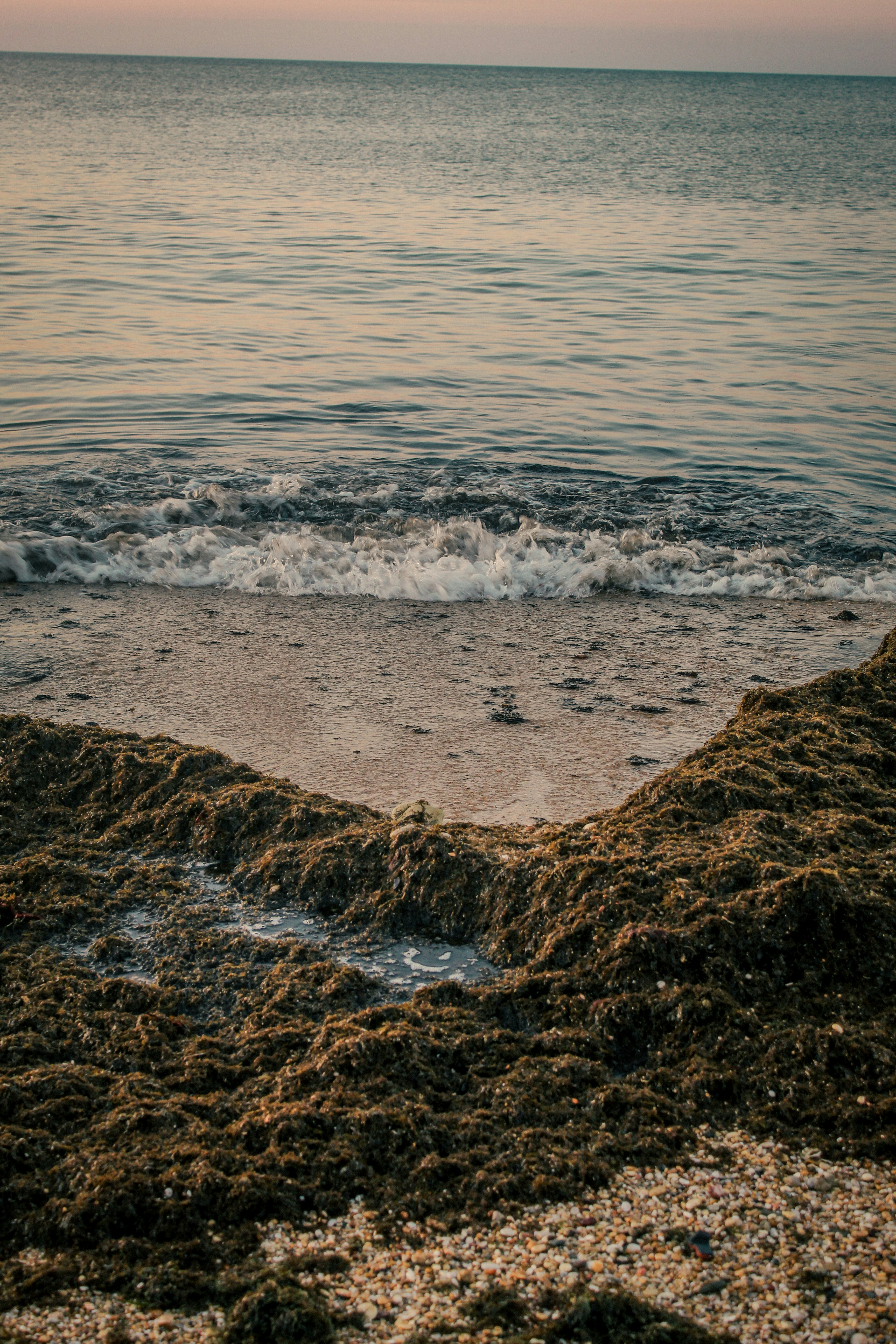 Tide in the Seafoam: Mossy Coastal Rocks at Dusk