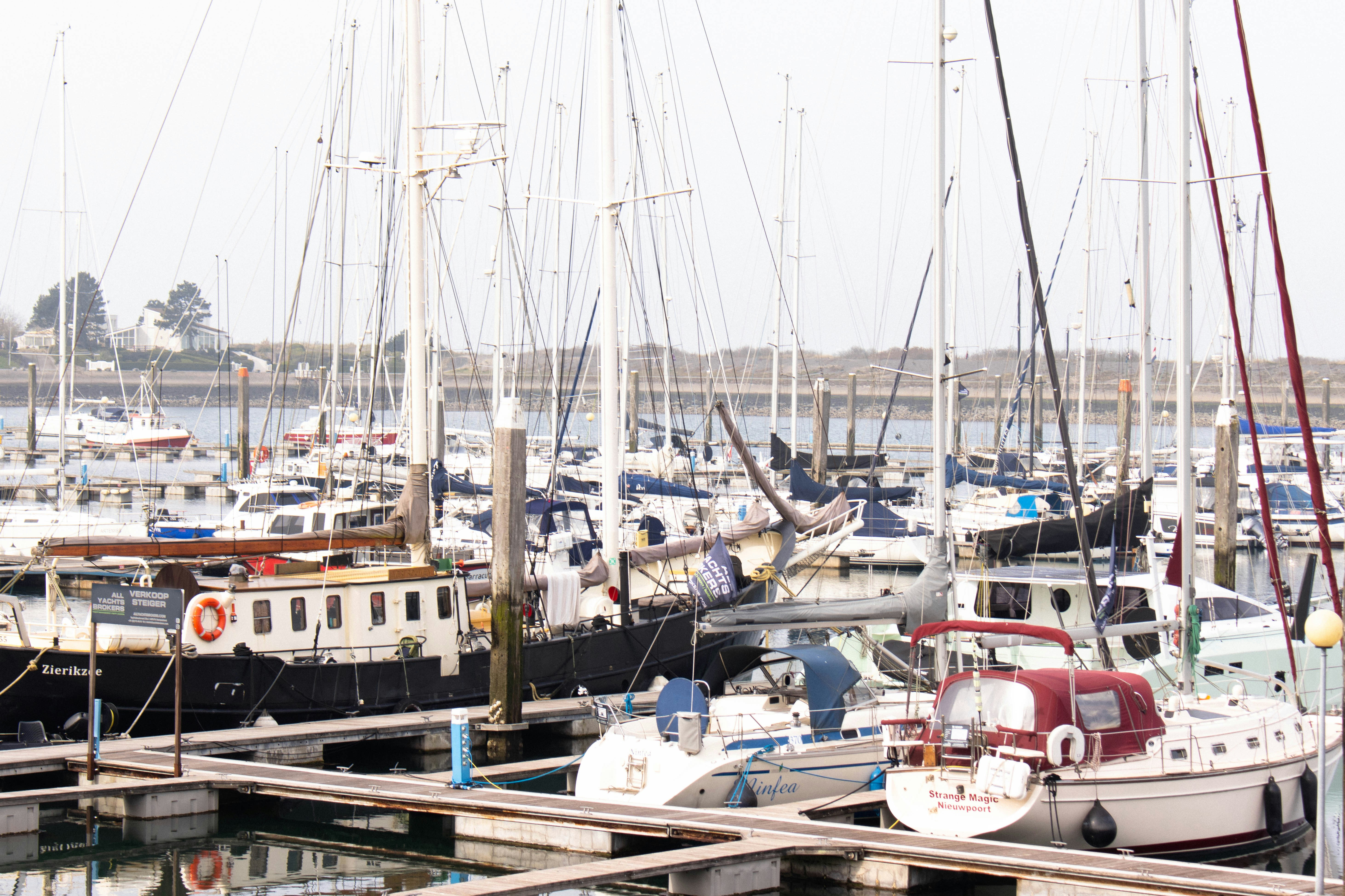 Masts and hulls at quiet harbor: a mosaic of moored sailboats