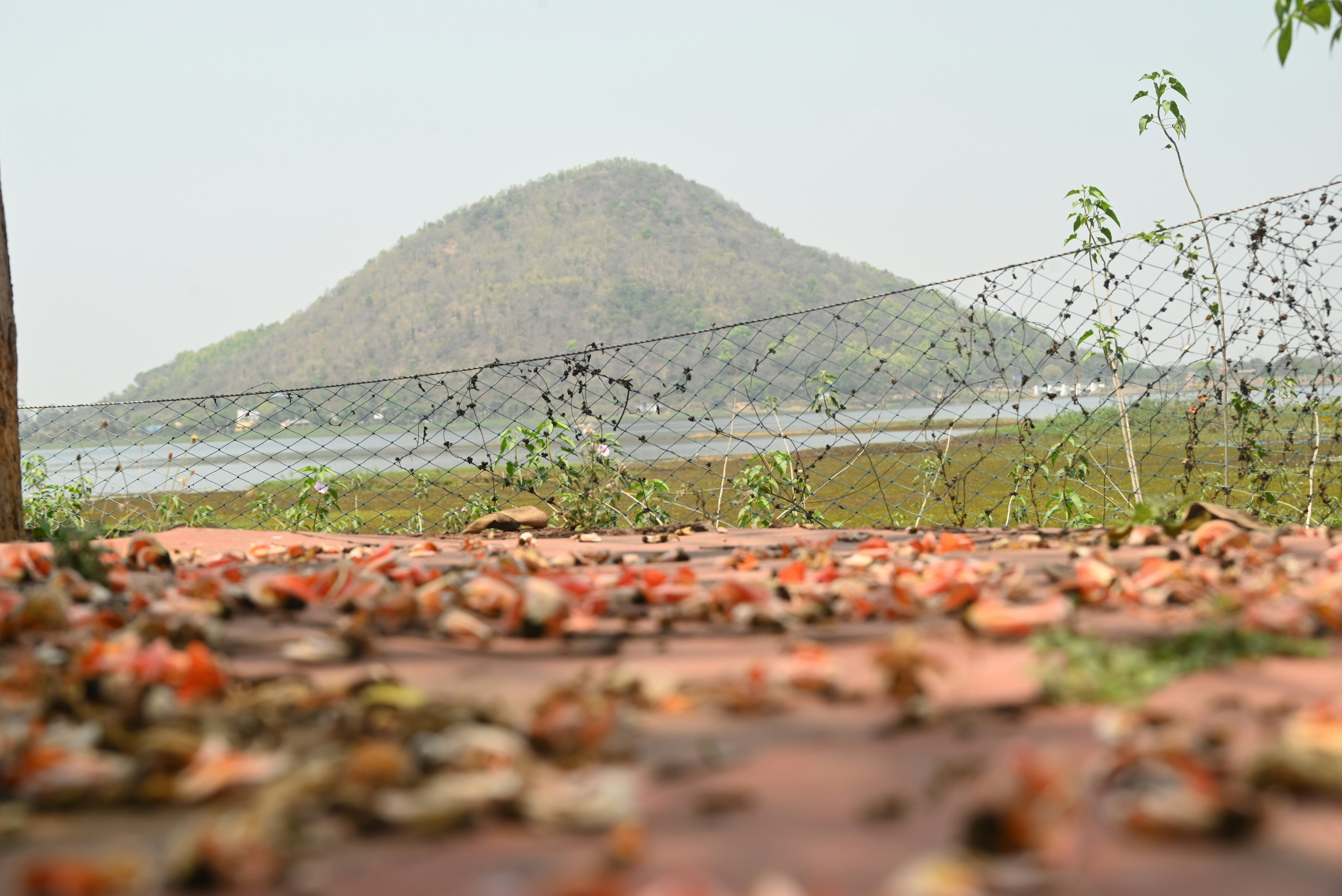 Tide’s Edge: Faded Barrier and Quiet Hill