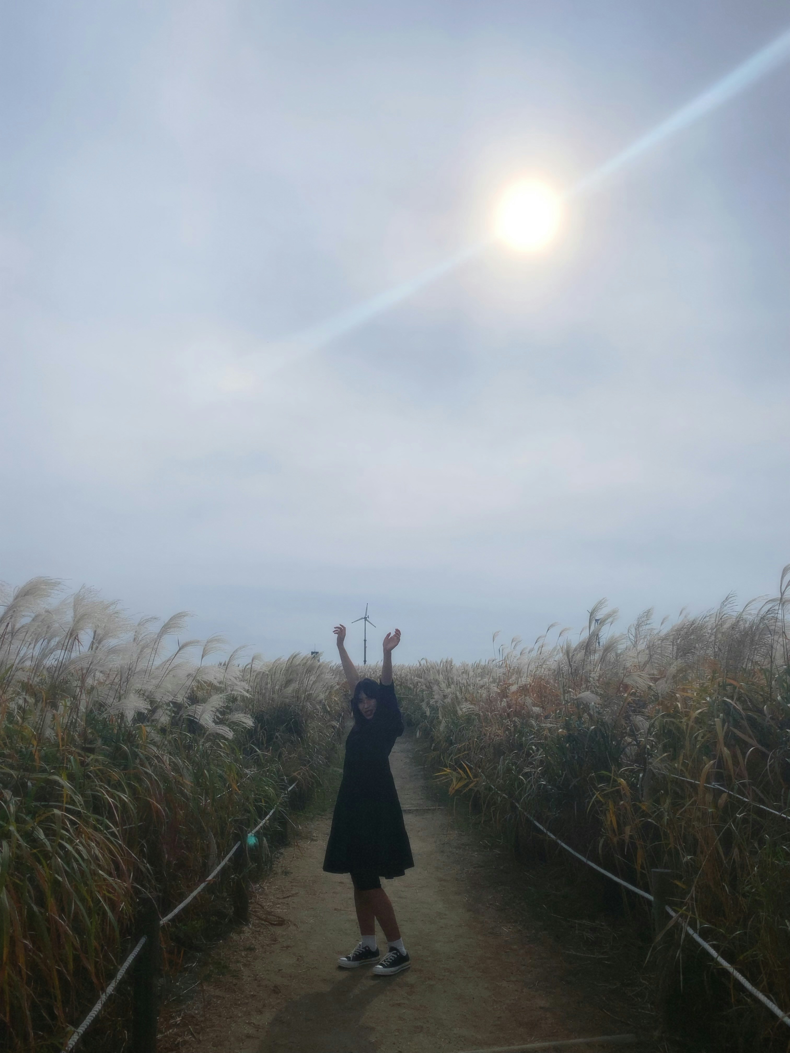 Joyful Silhouette in Sunlit Reeds