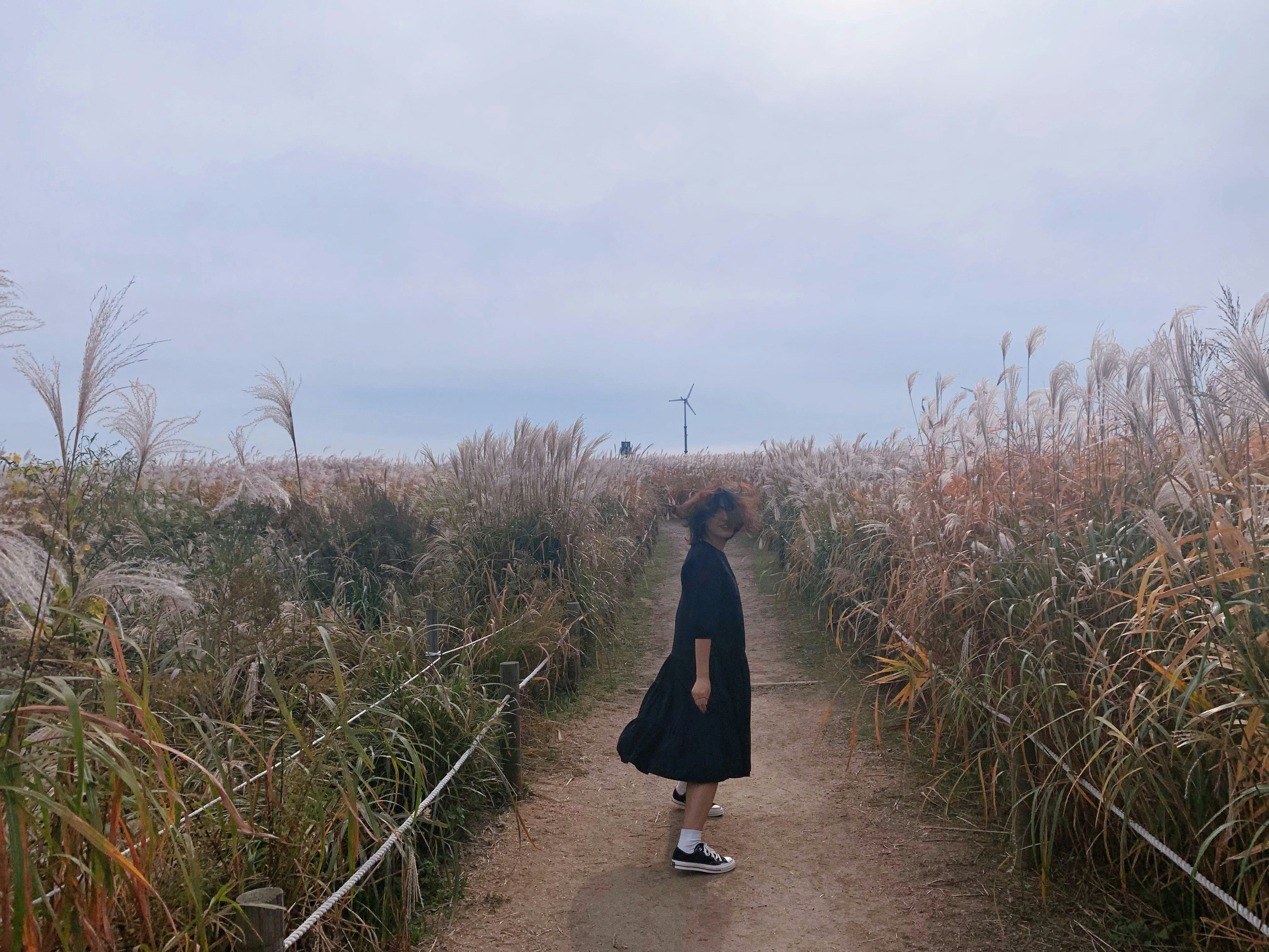 Lonely Path: A Woman in Midstep Through Sunlit Reeds