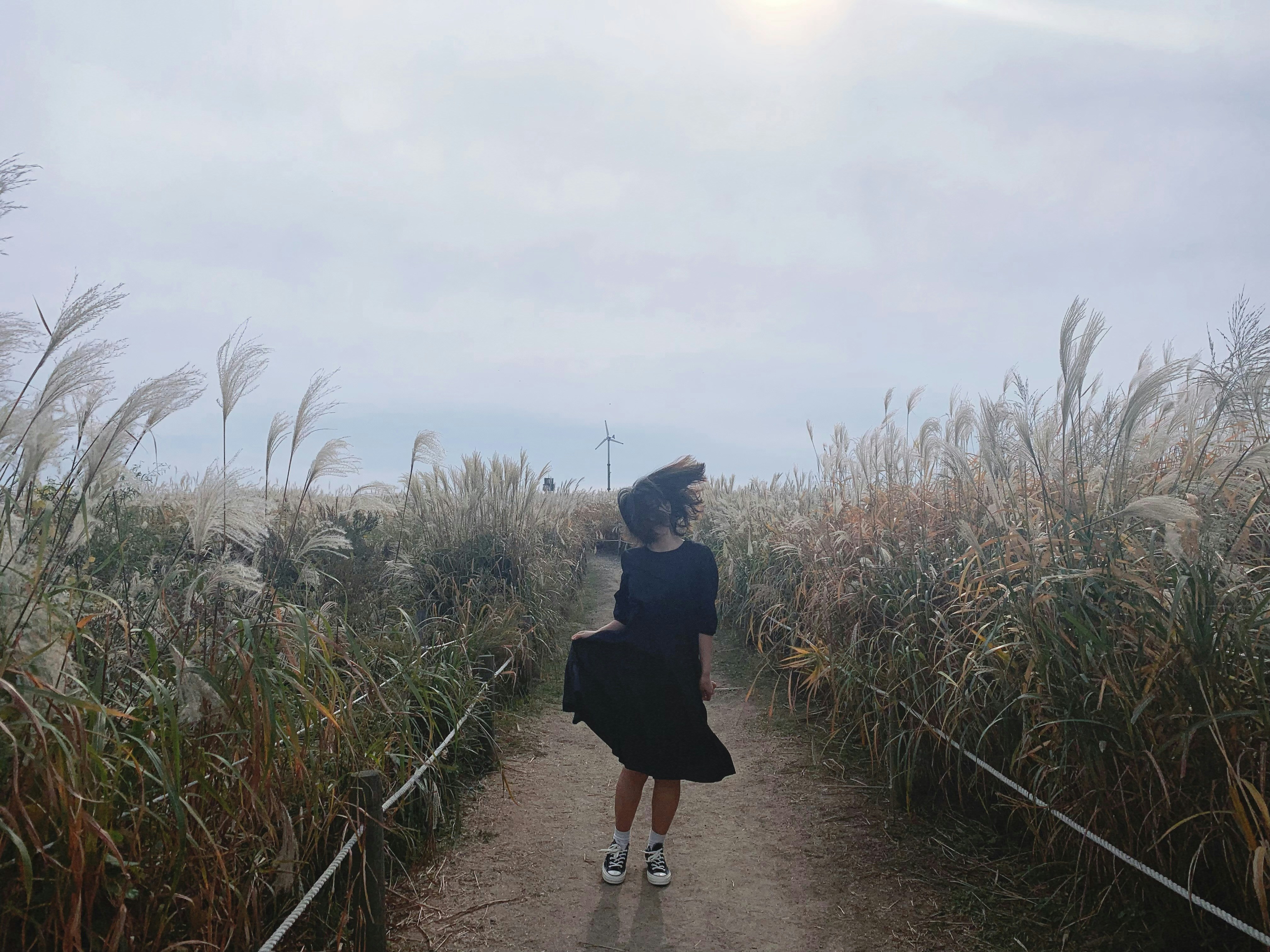 A lone dancer in a wind-swept corridor of tall grasses
