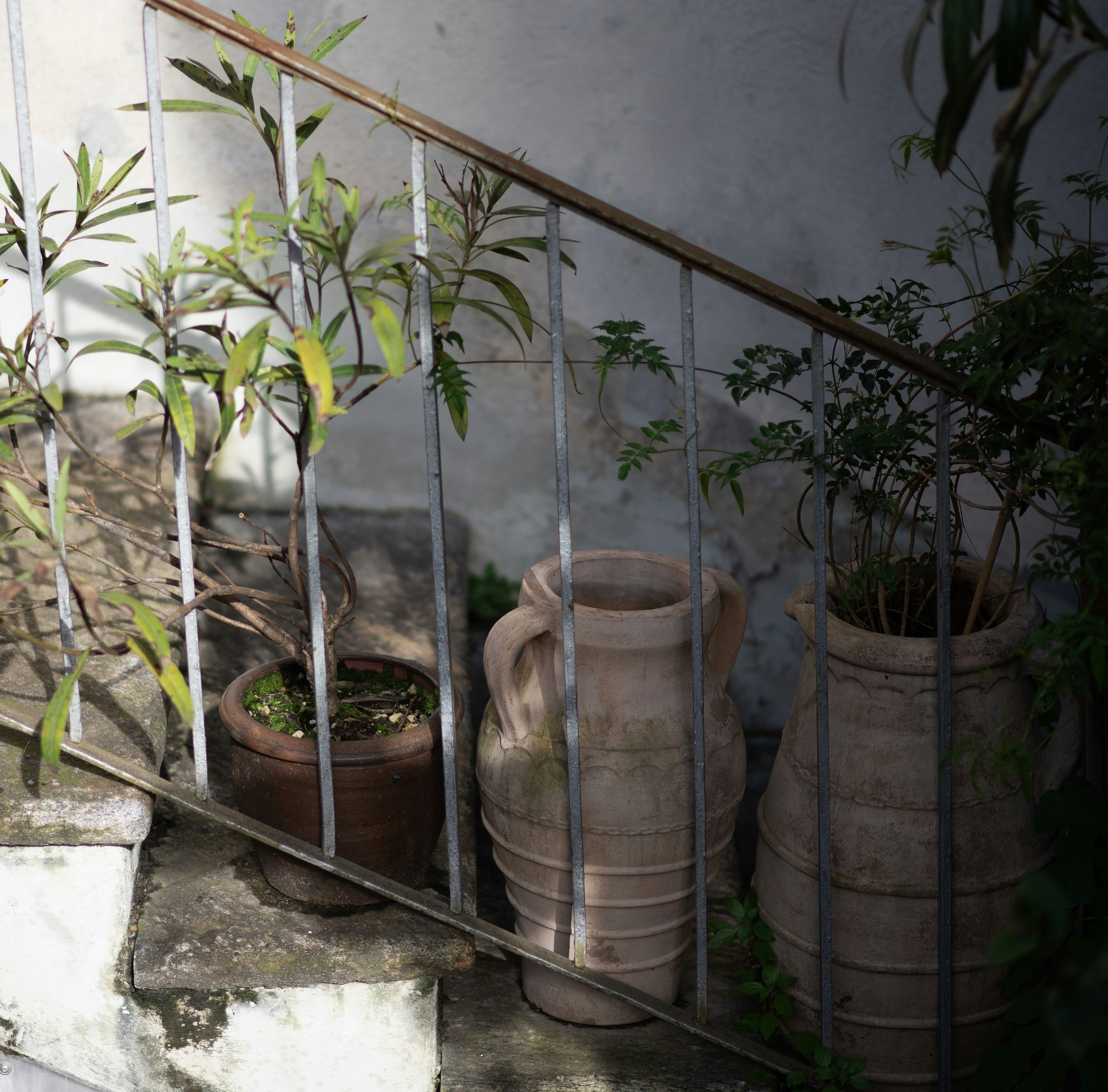 Sunlit Terrace Pots and Patinaed Vases Framing a Quiet Stairwell