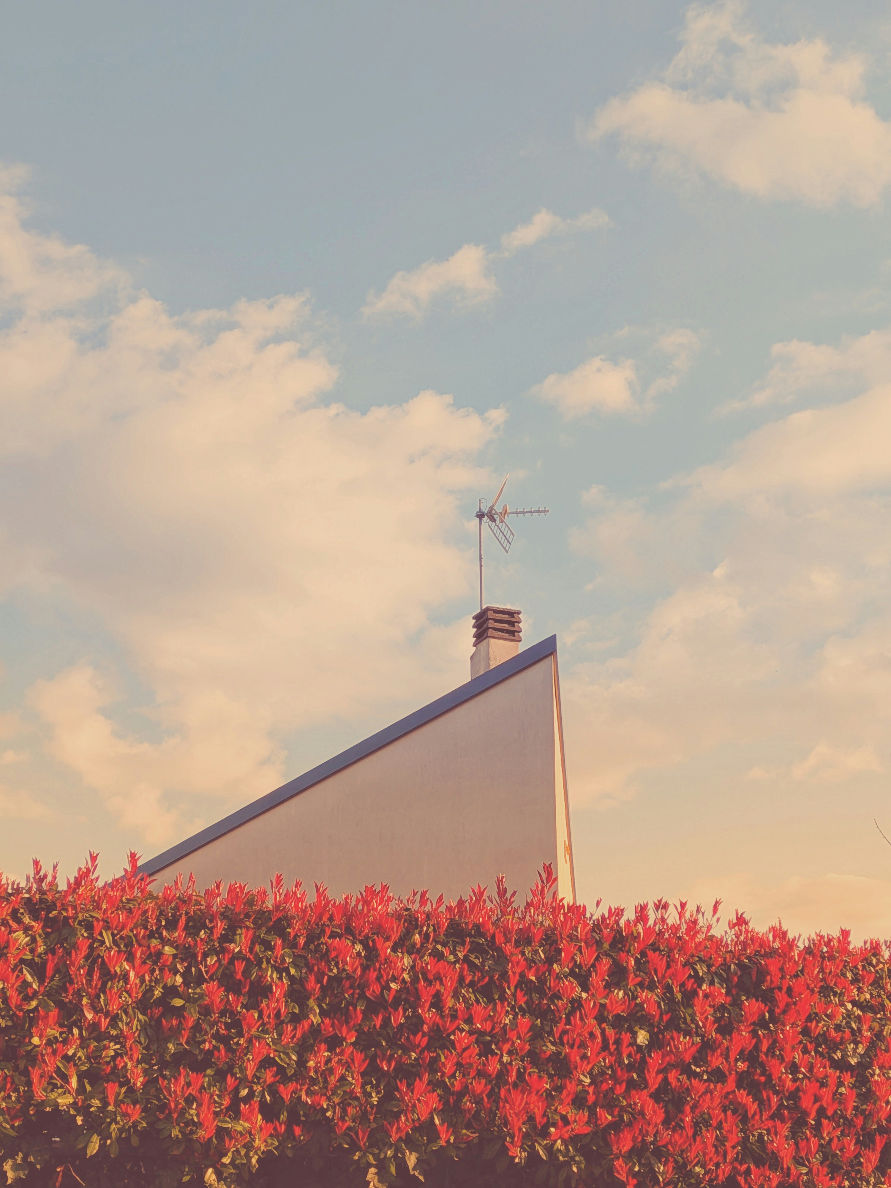 Rooftop Peak Under a Calm Sky