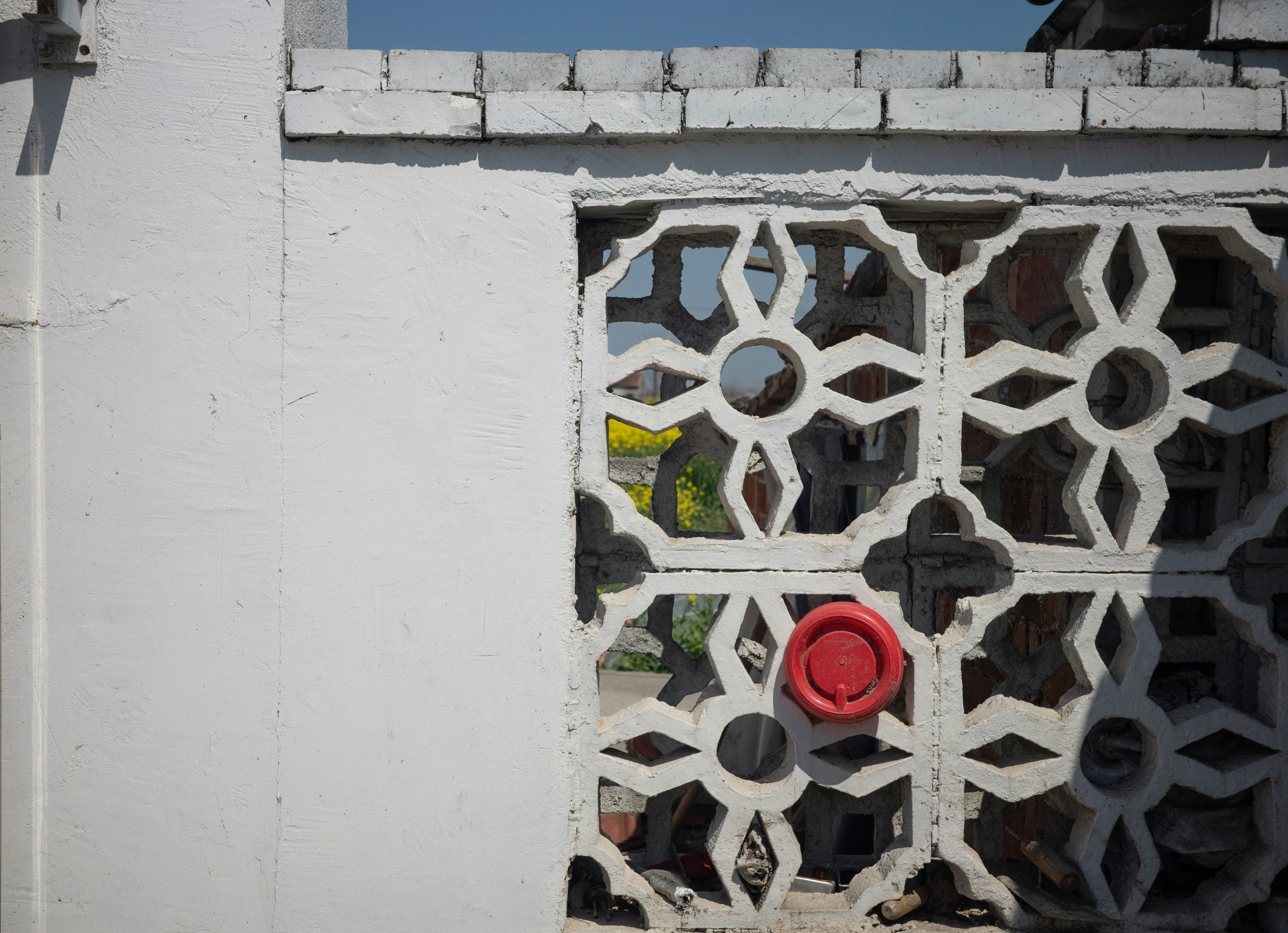 Red Fire Hydrant Nestled in a Concrete Lattice