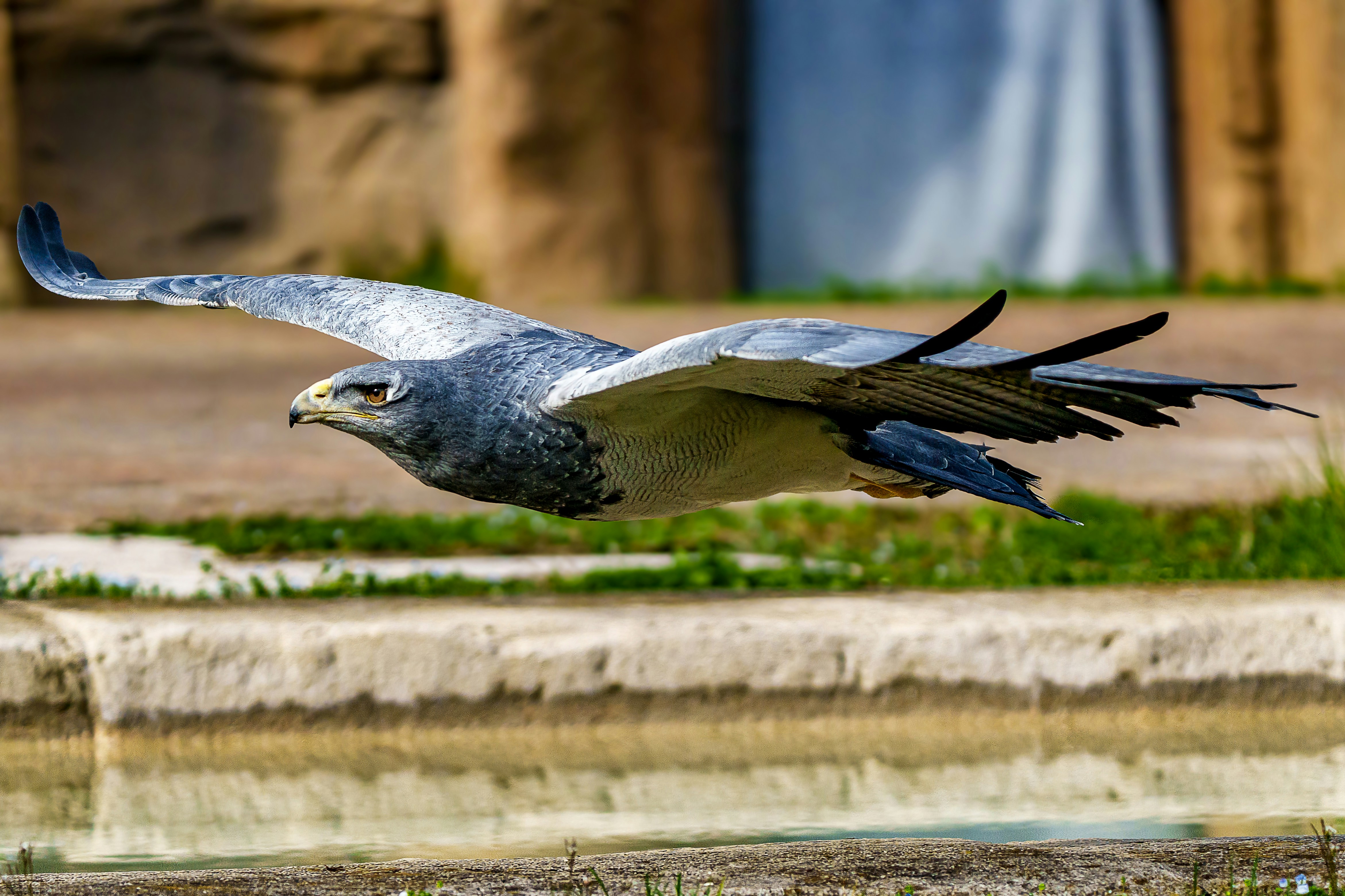 Winged Cannon in Flight Over a Concrete Edge