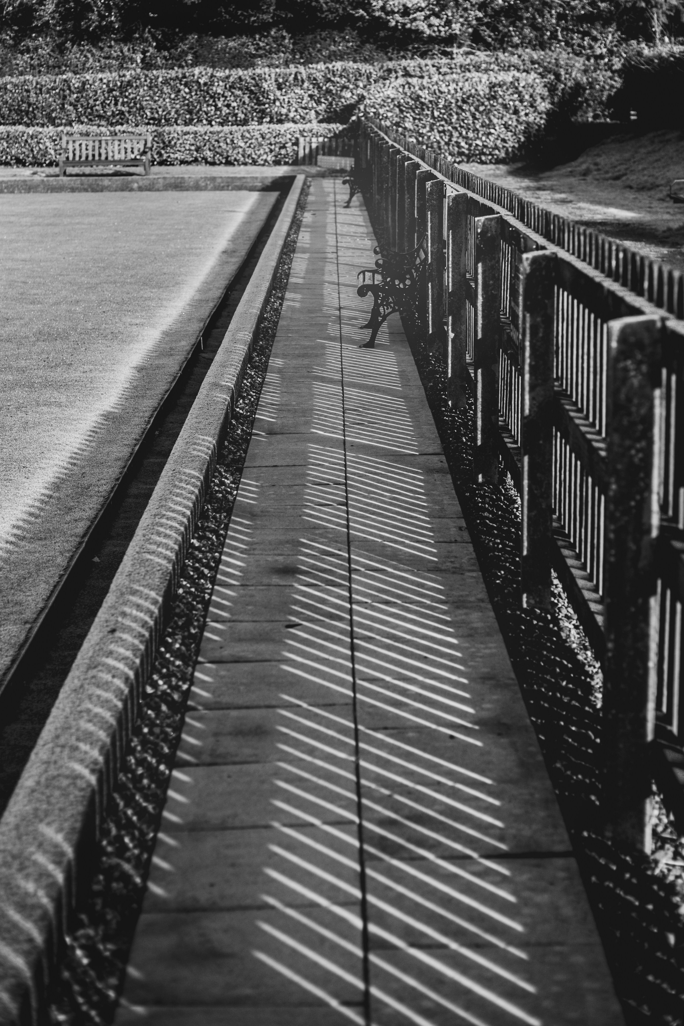 Shadows Cast by Railings: A Quiet Walk Along the Park