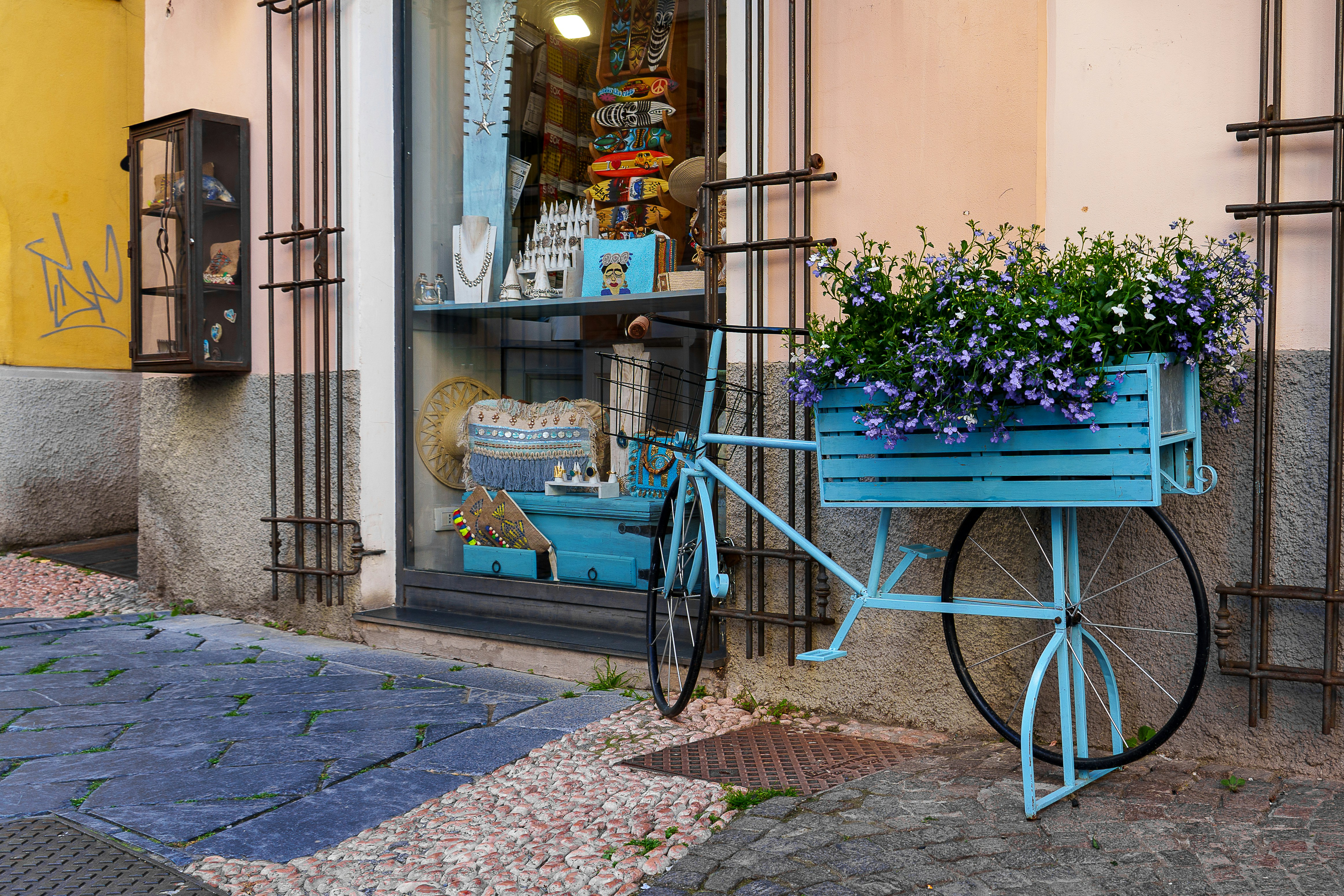 Blue bike-cart storefront kiss of blue near a cobbled street