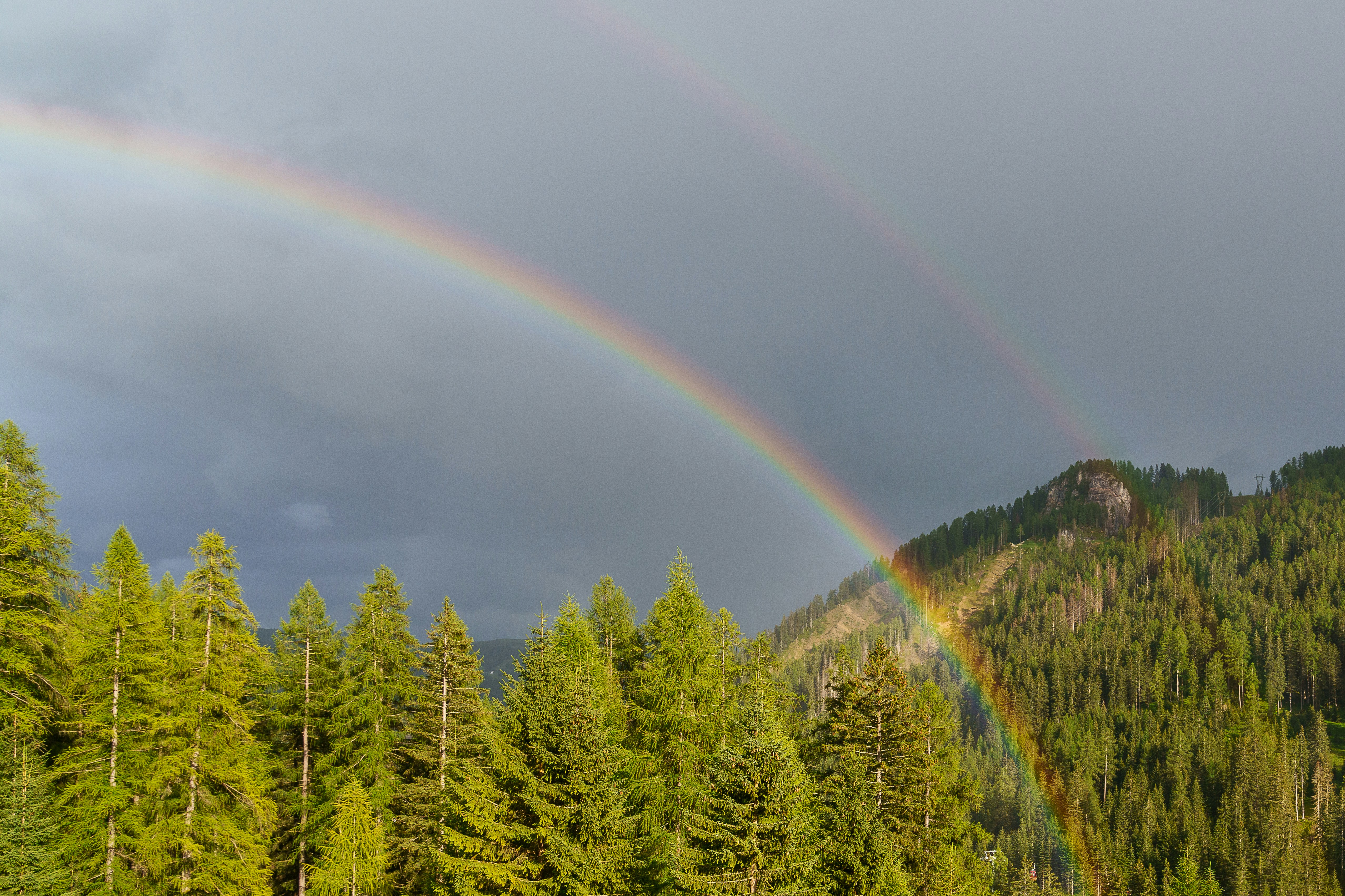 Double Rainbow Over Pine Forest and Mountain Ridge