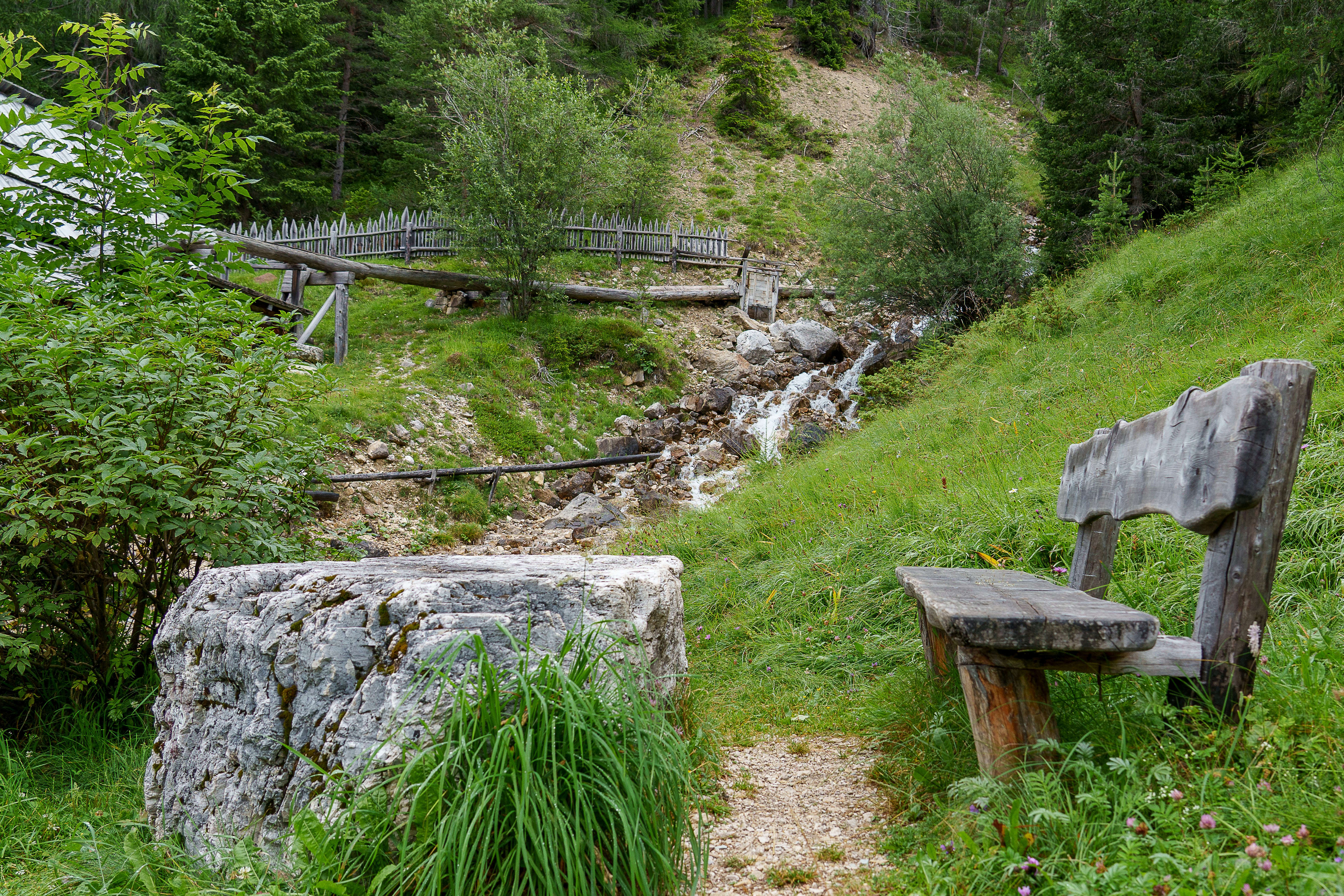 A Weathered Bench Beside a Quiet Alpine Trail