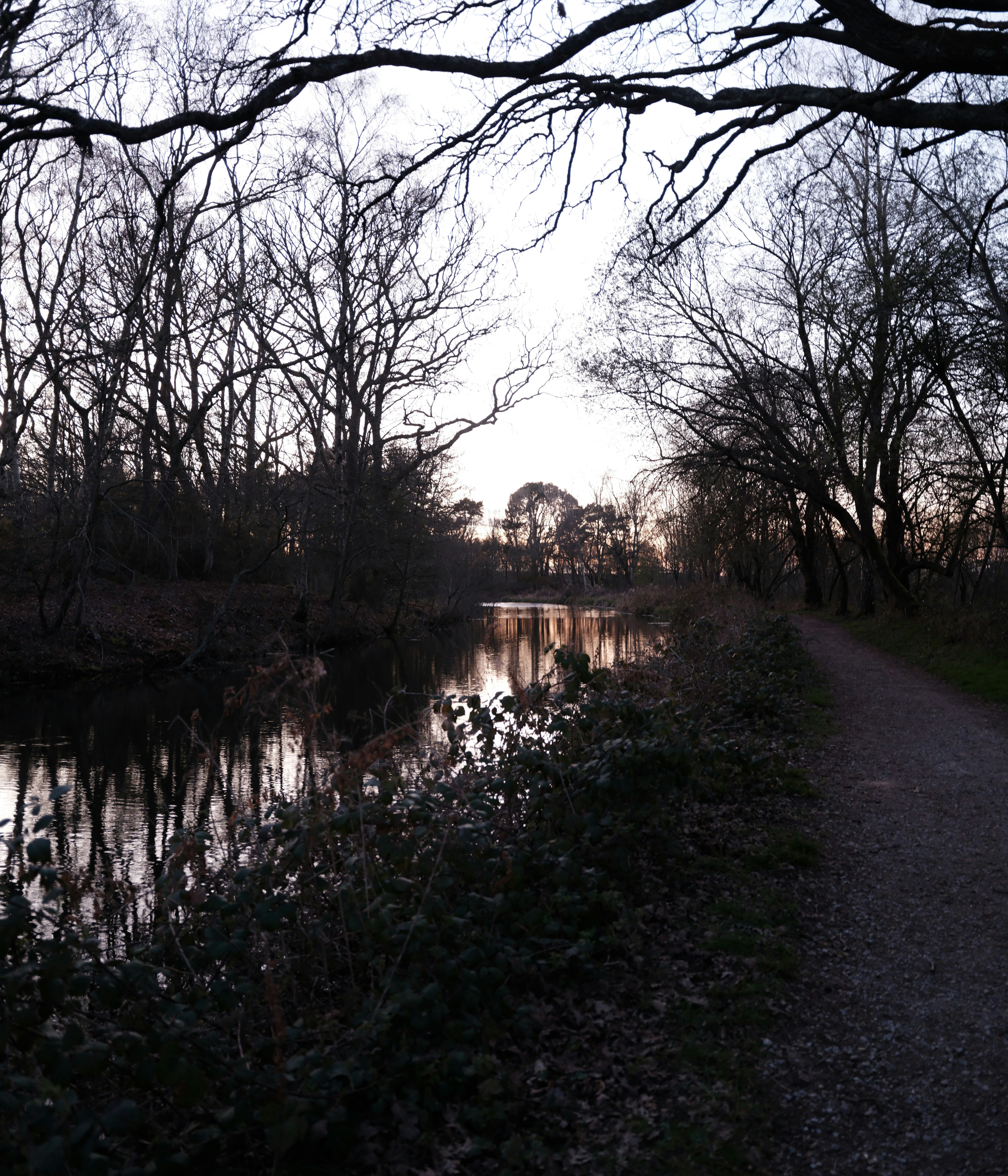 Dusk Along the River Path