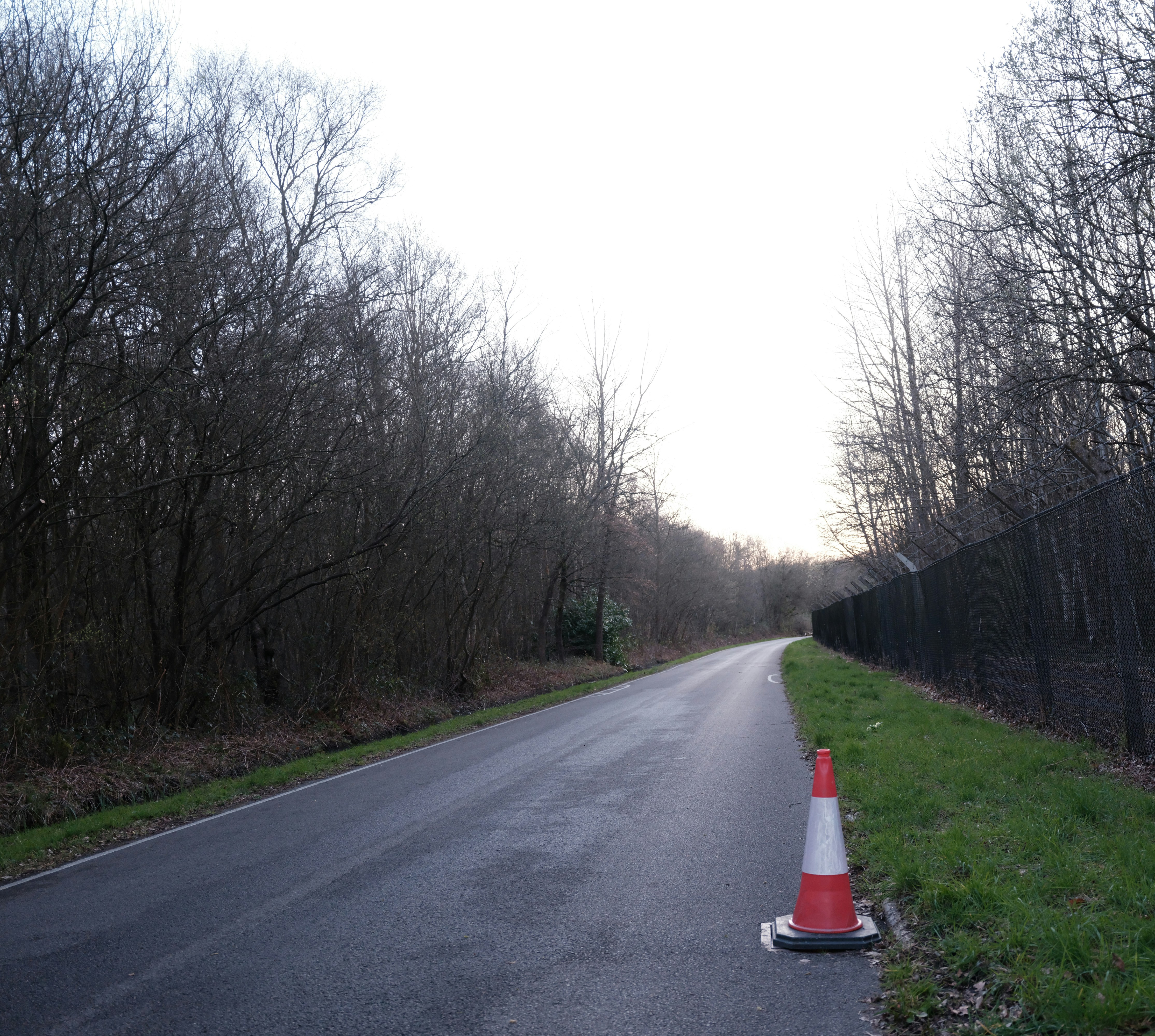Roadside Convergence: Quiet Ascent Beyond the Fence