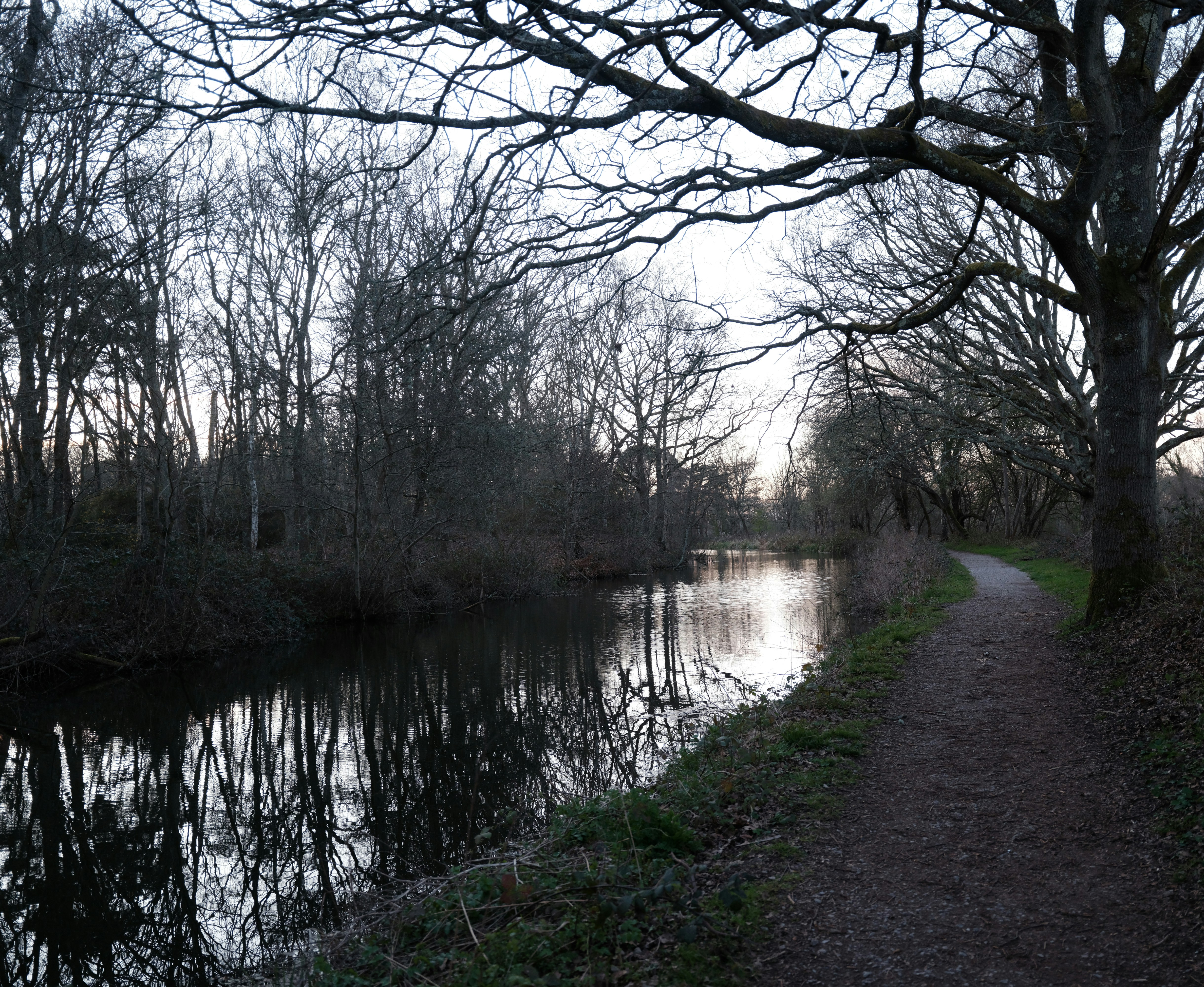 Path of Reflection Along a Quiet Canal