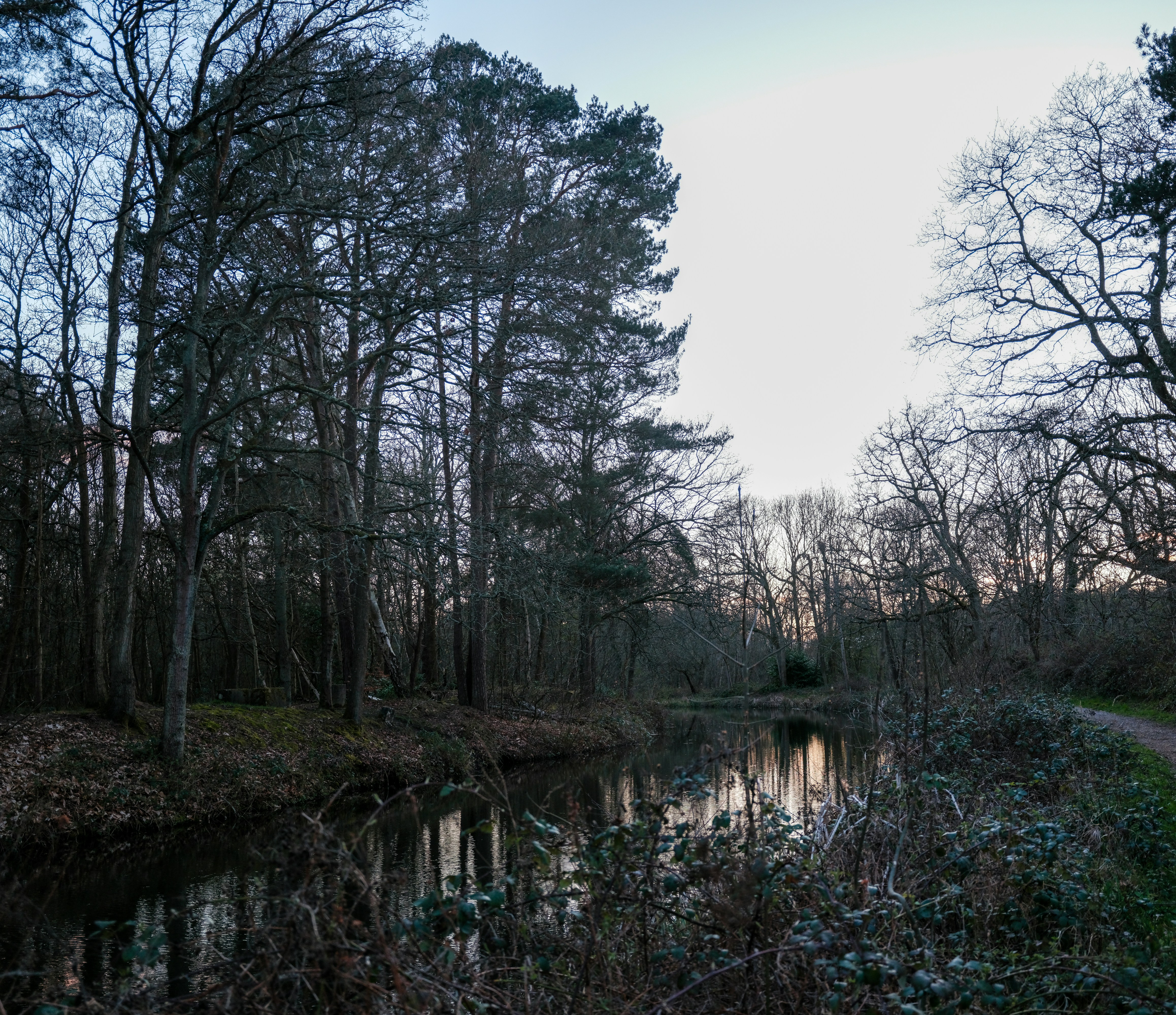 Dusk on the Still River Trail