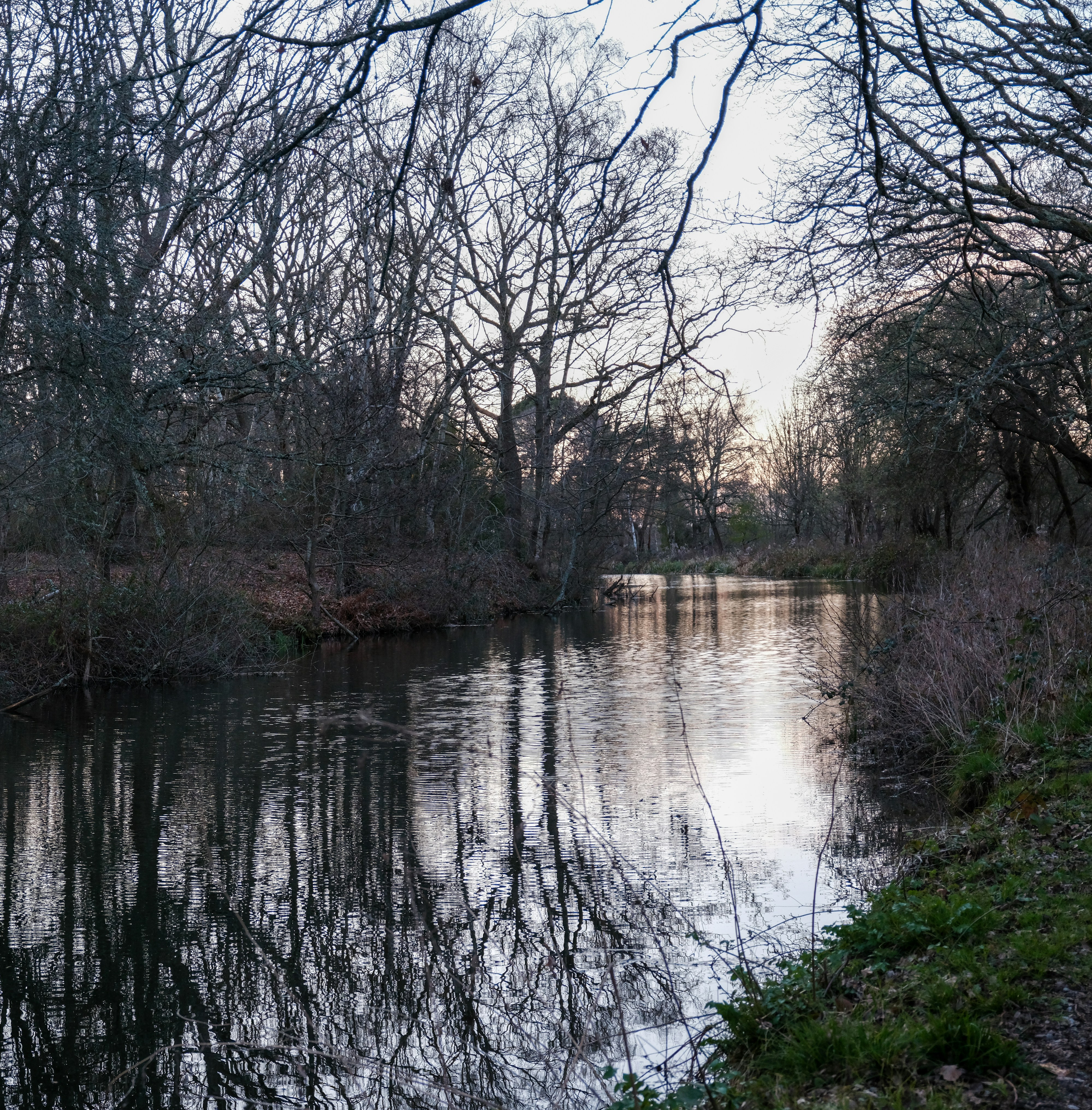 Quiet River Reflections at Dusk