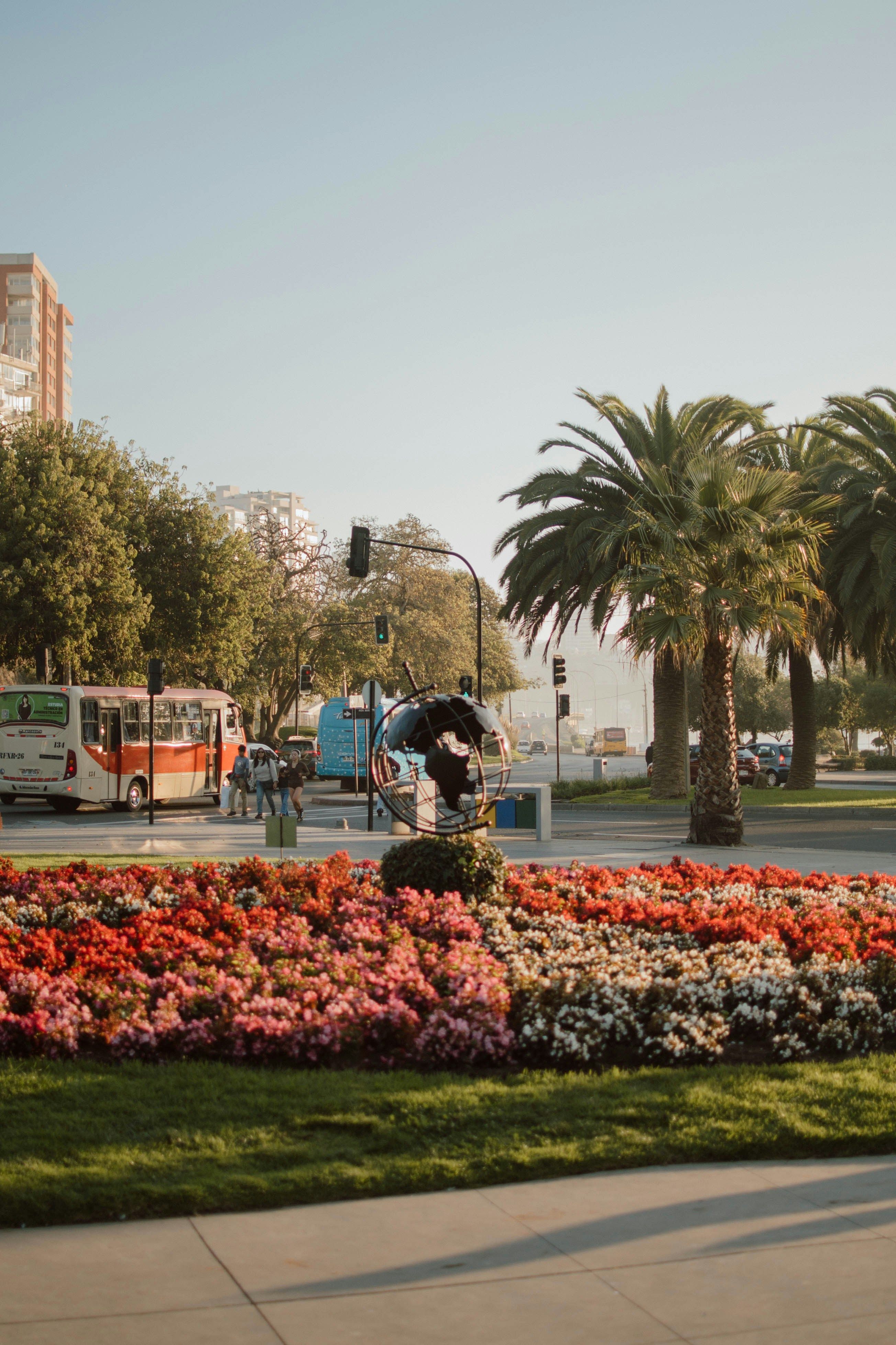 Sunlit City Corner: A Curved Sculpture Framed by Palm Shade
