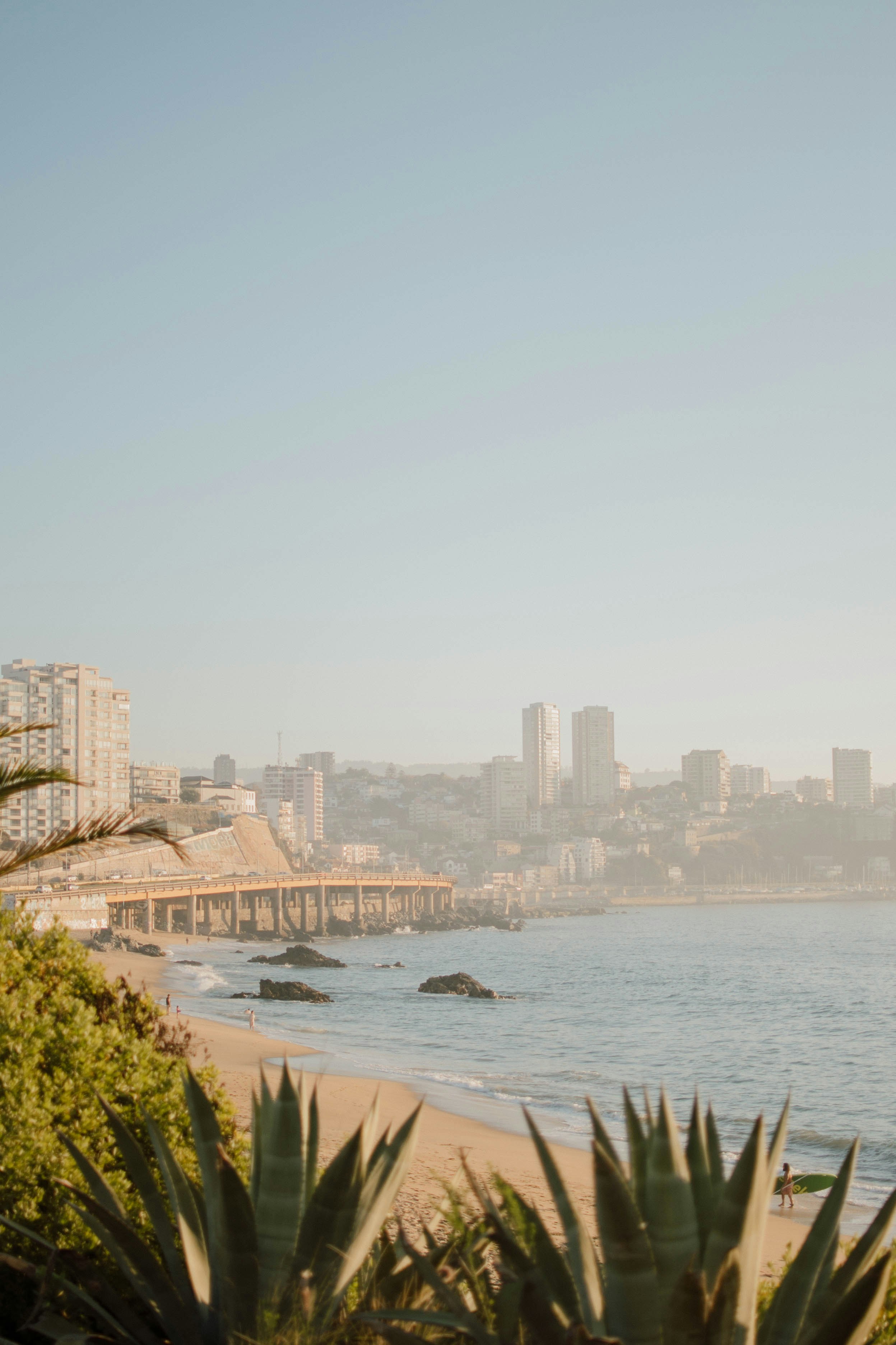 Sunlit Esplanade: Coastal Cityscape Beneath a Clear Sky