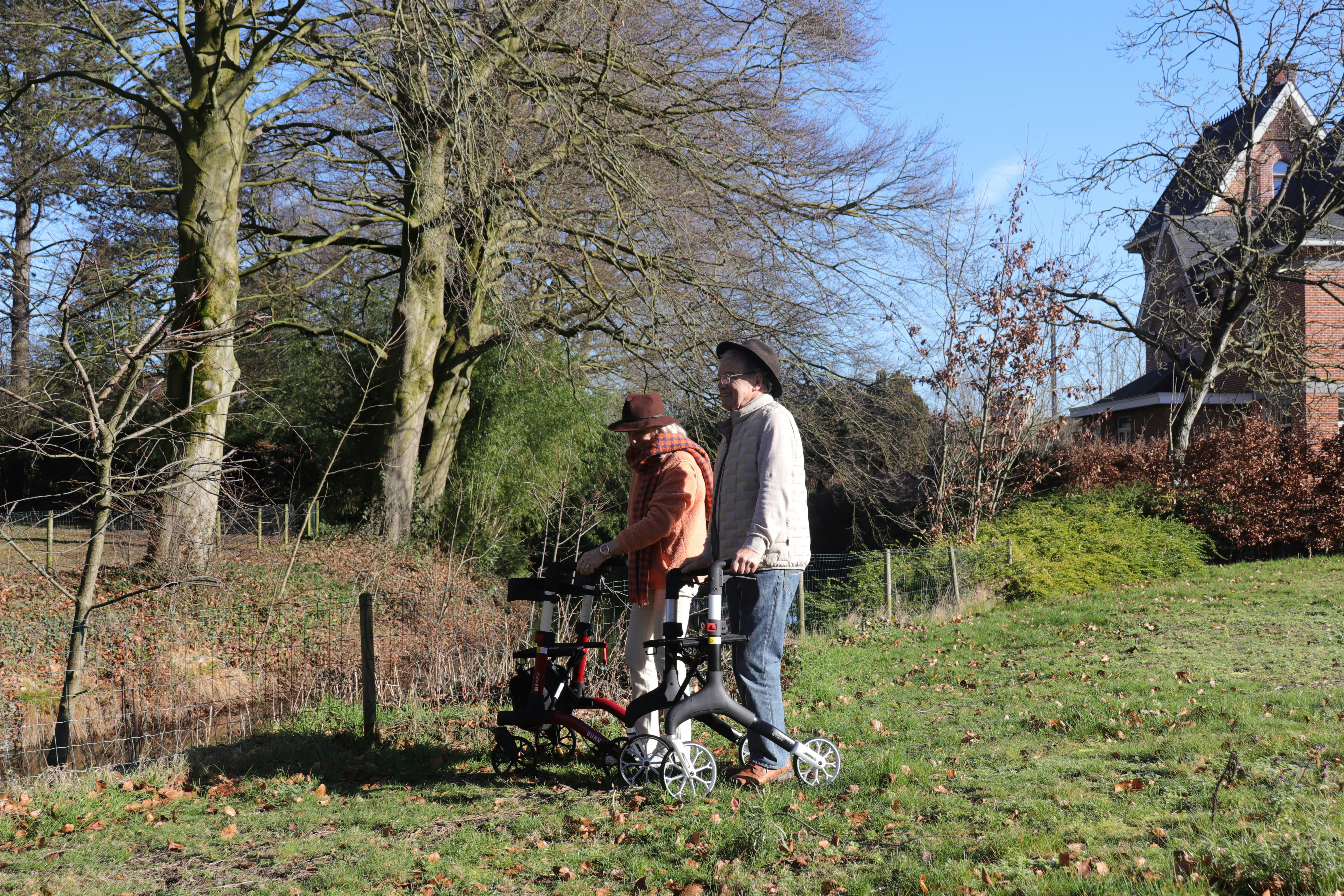 Guided Stroll: A Caregiver and Elderly Companion Move through a Sunlit Park