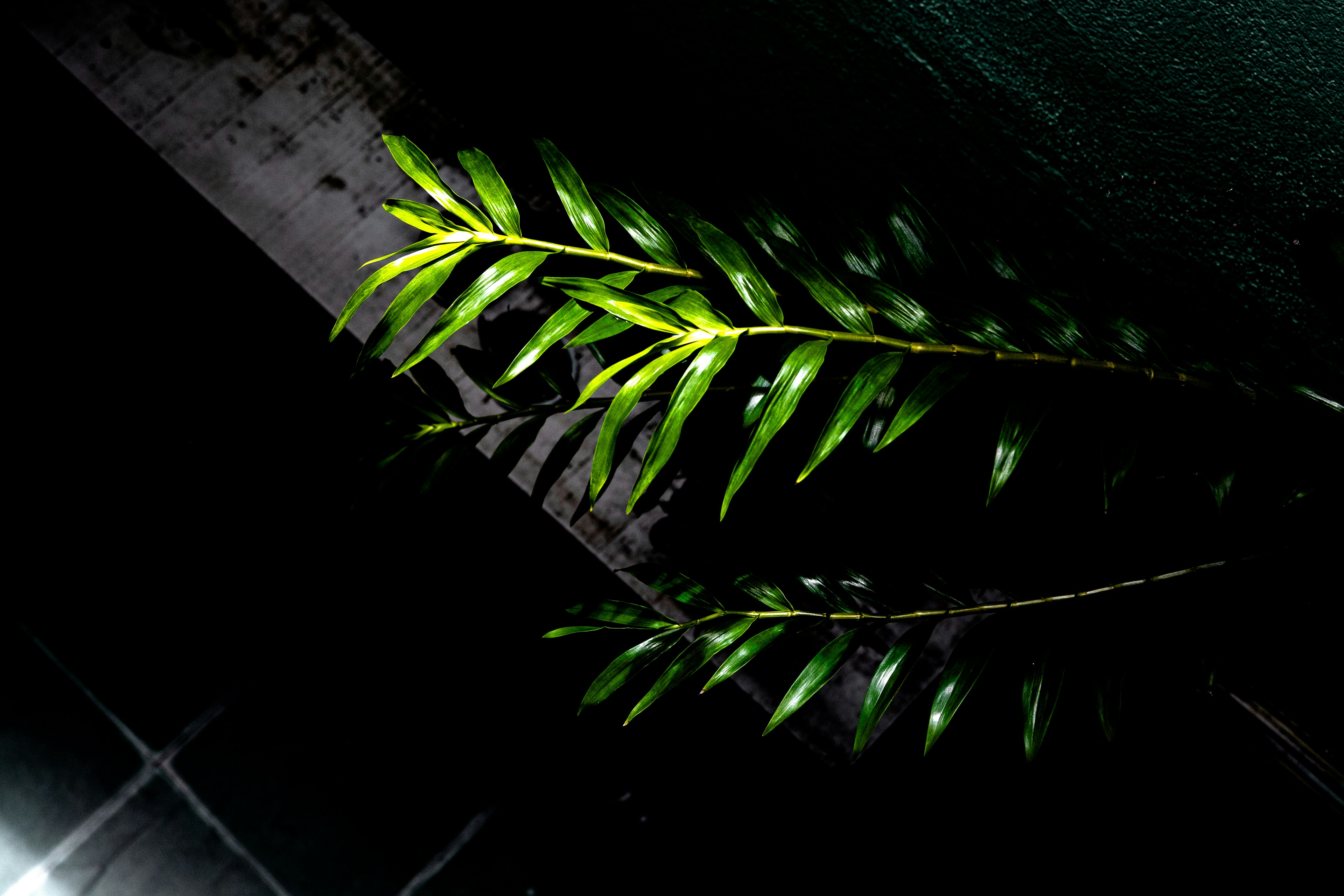 Glowing Fern Fronds in Nightfall Under a Reflective Ceiling