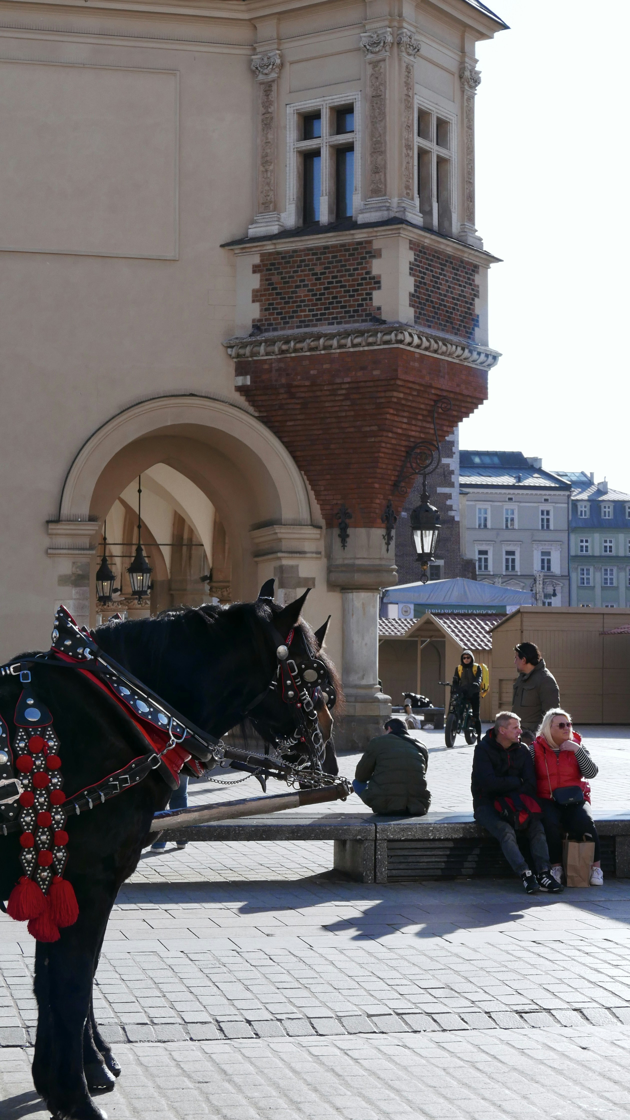 Carriage Horse at the Archway: A Sunlit Town Square