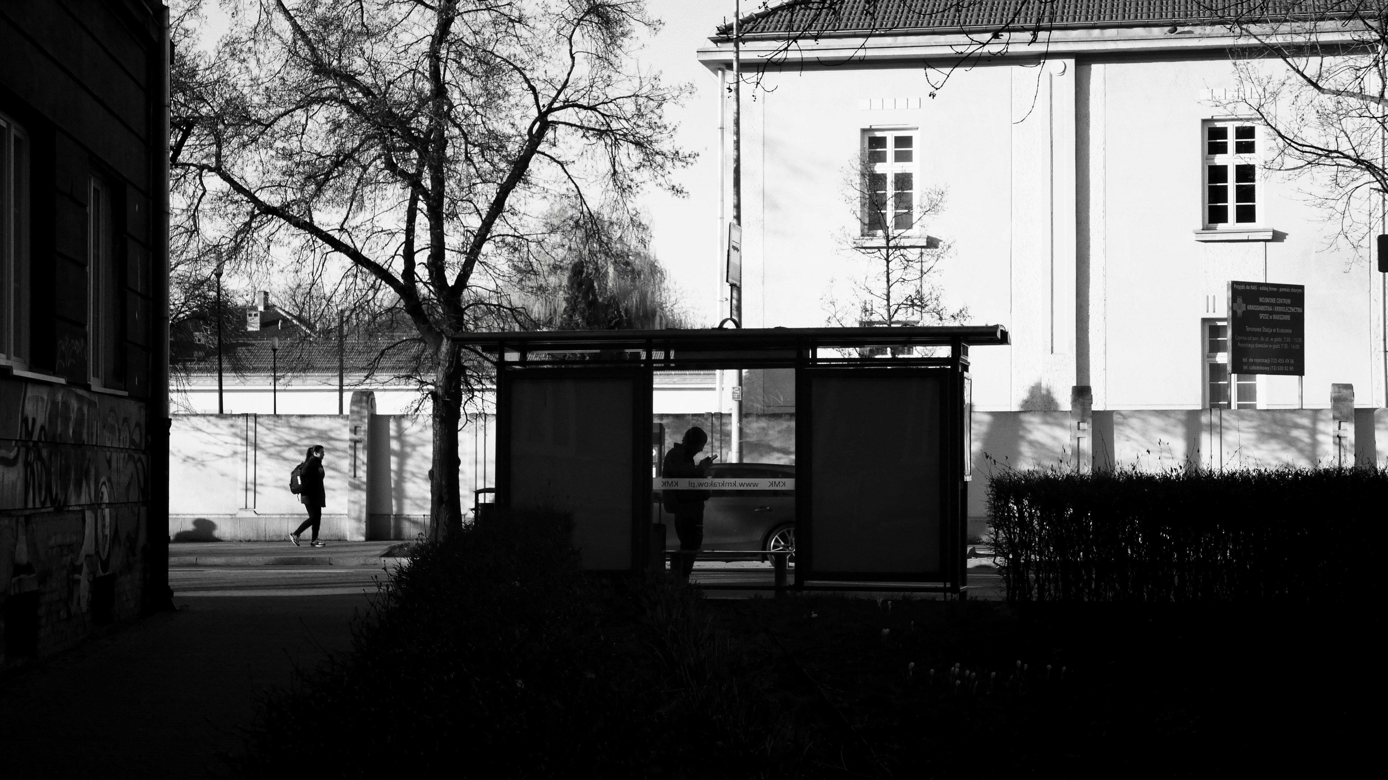 Solitary Traveler by the Bus Stop at Dusk