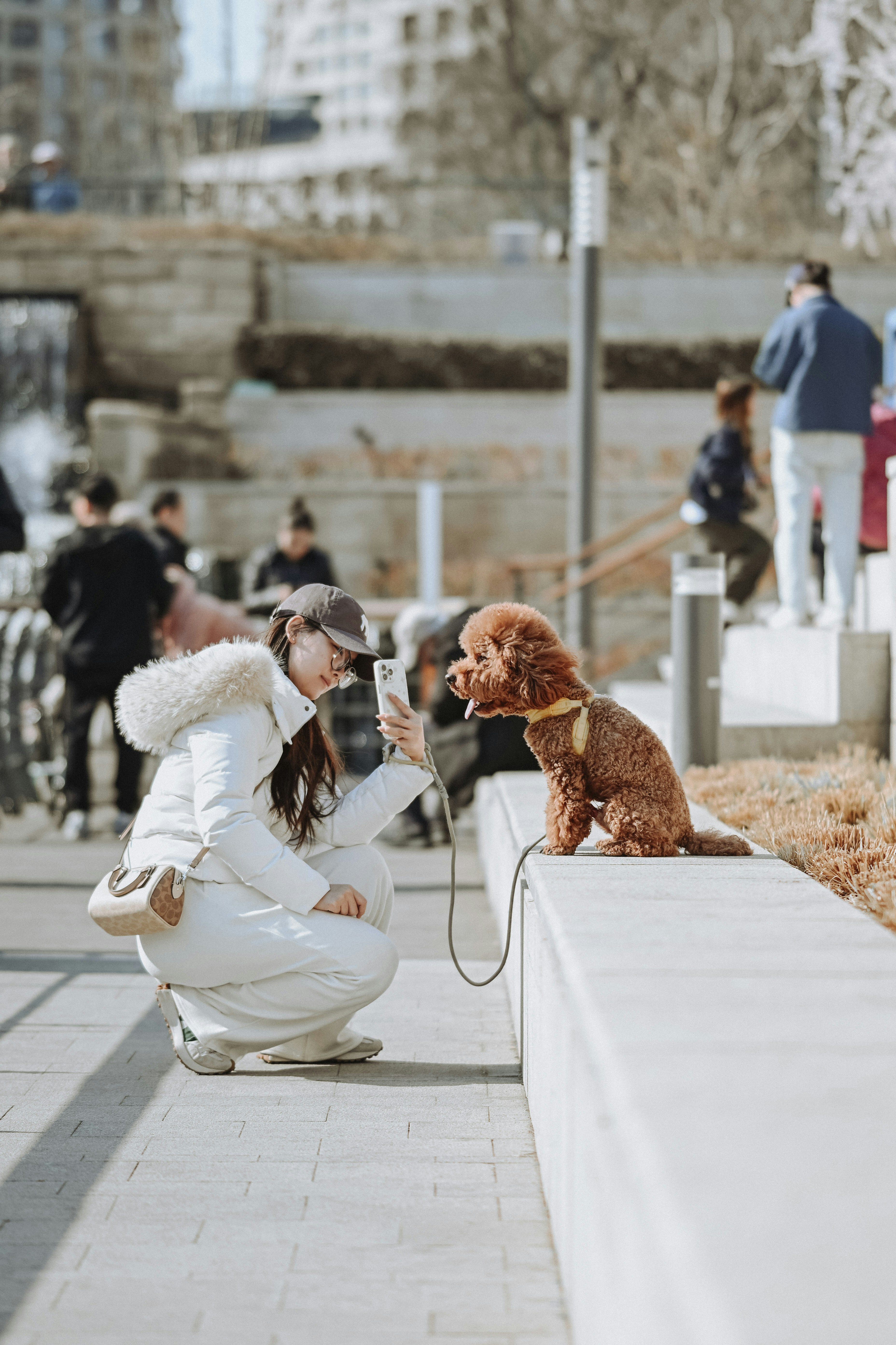Portrait moment: woman with puppy sharing a selfie on a sunny plaza