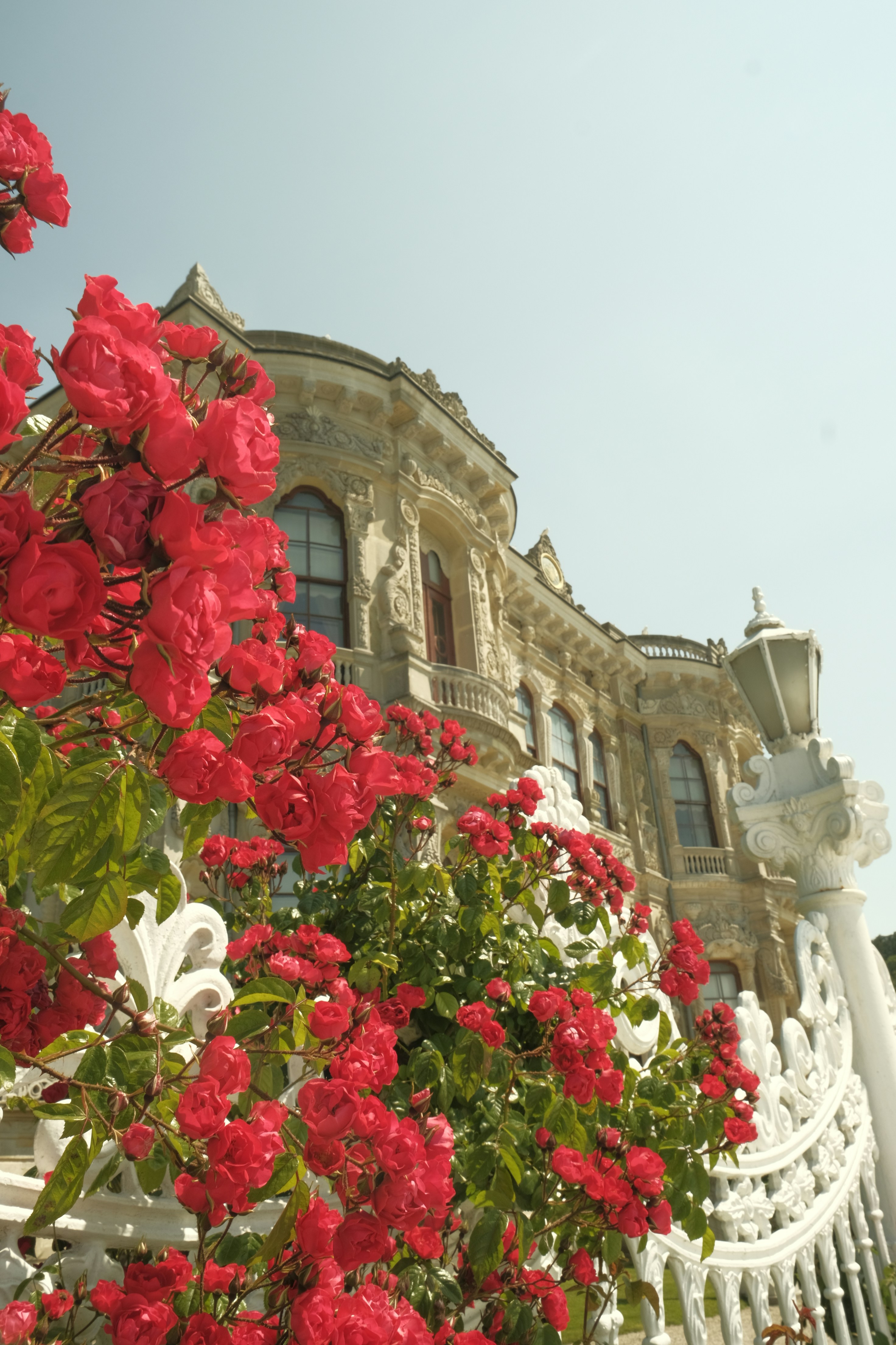 Blooms Along an Ornate Terrace
