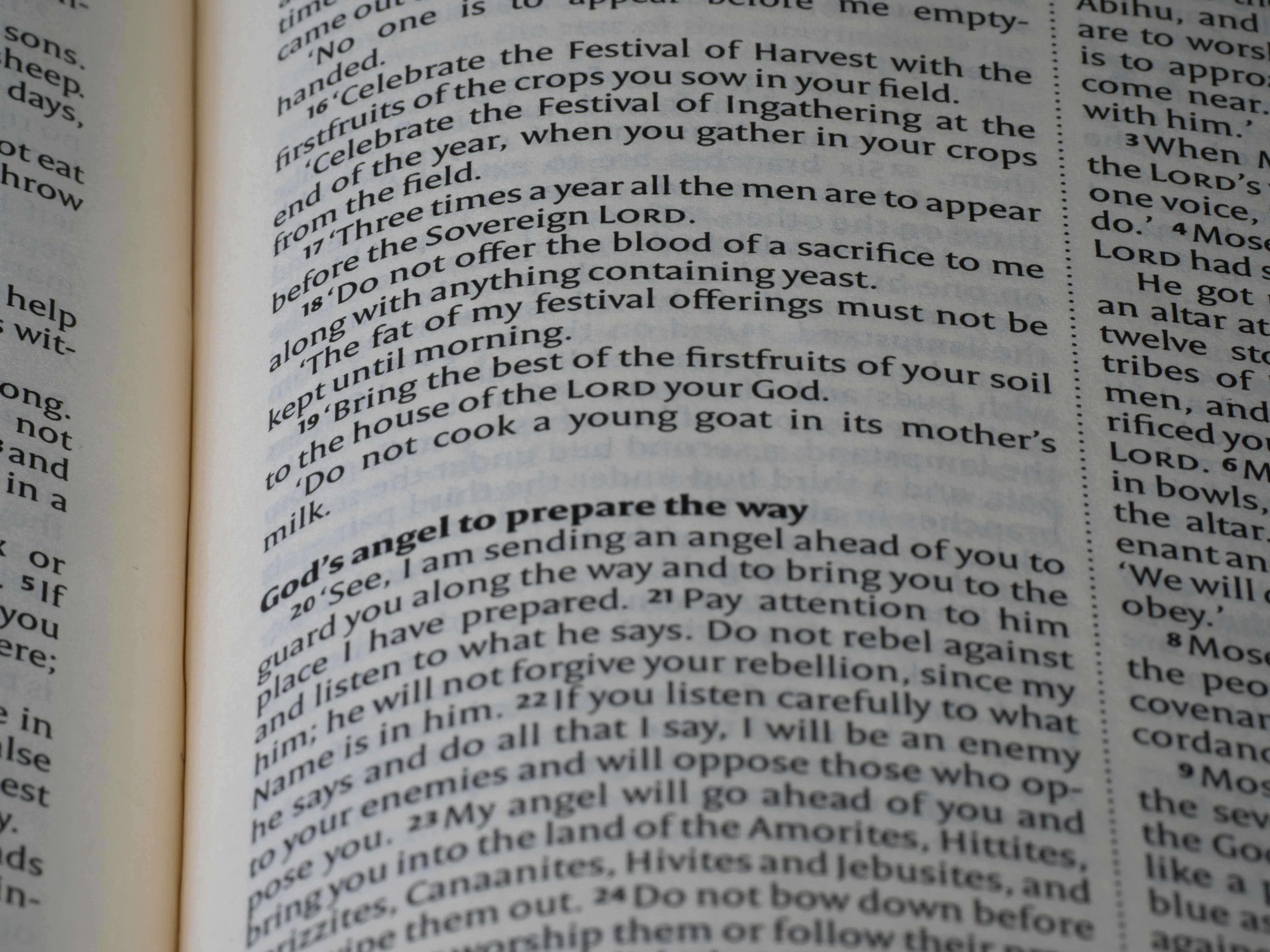 Close-up of a Church Bible Page with a Soft Folded Edge