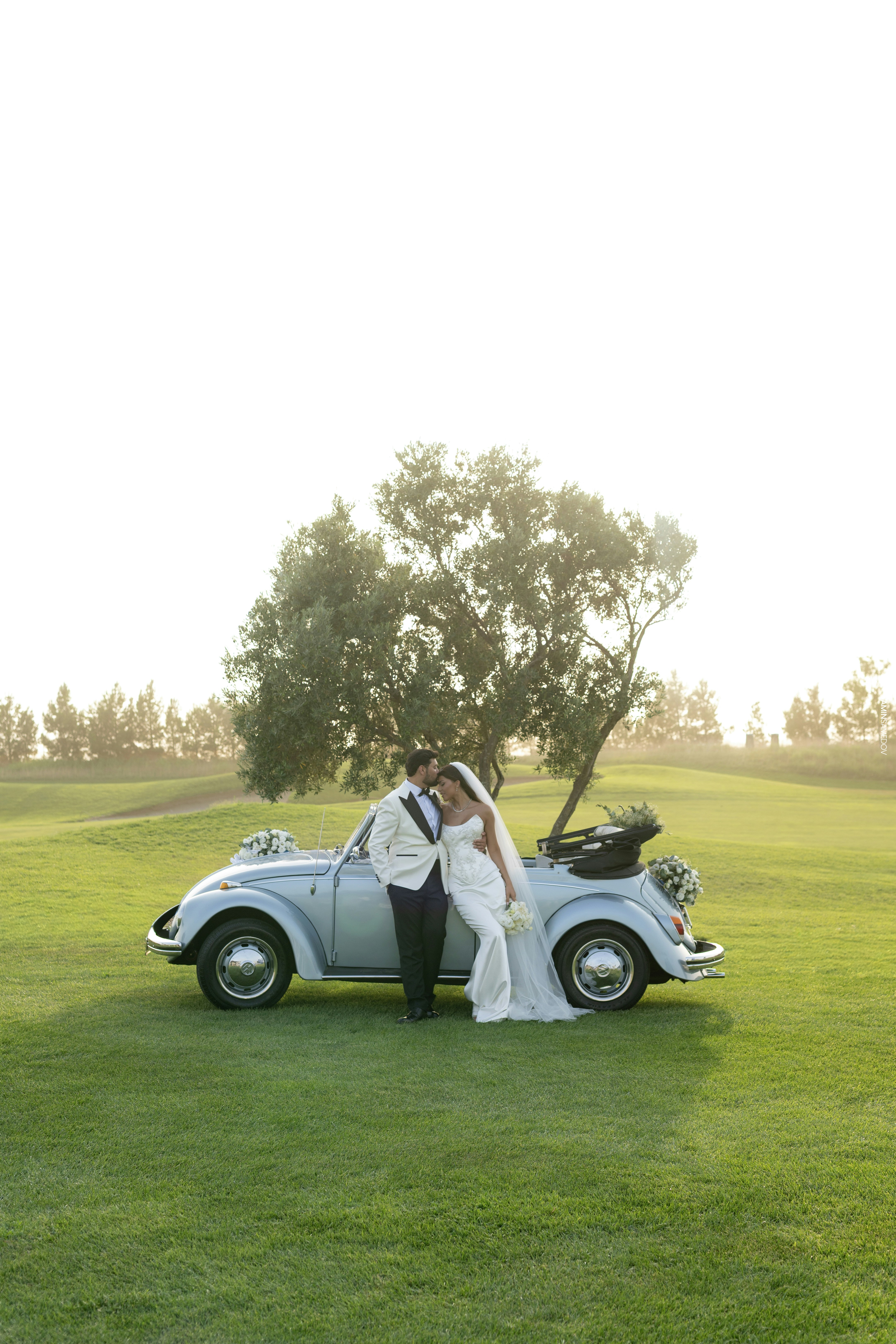Vintage Convertible Veil: A Kiss Beneath the Tree
