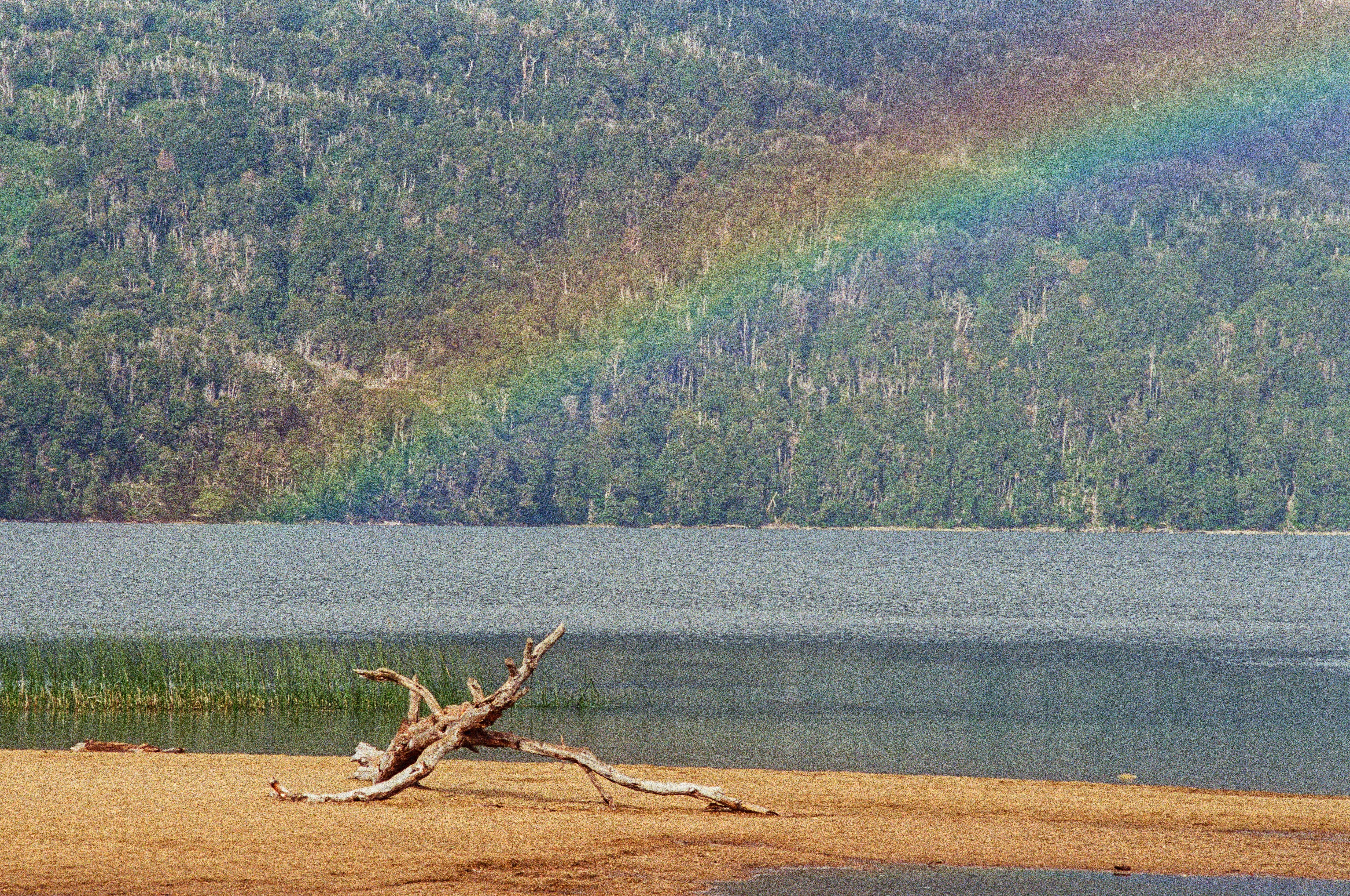 Rainbow Arch Over Lake Shore with Driftwood on Sandbank