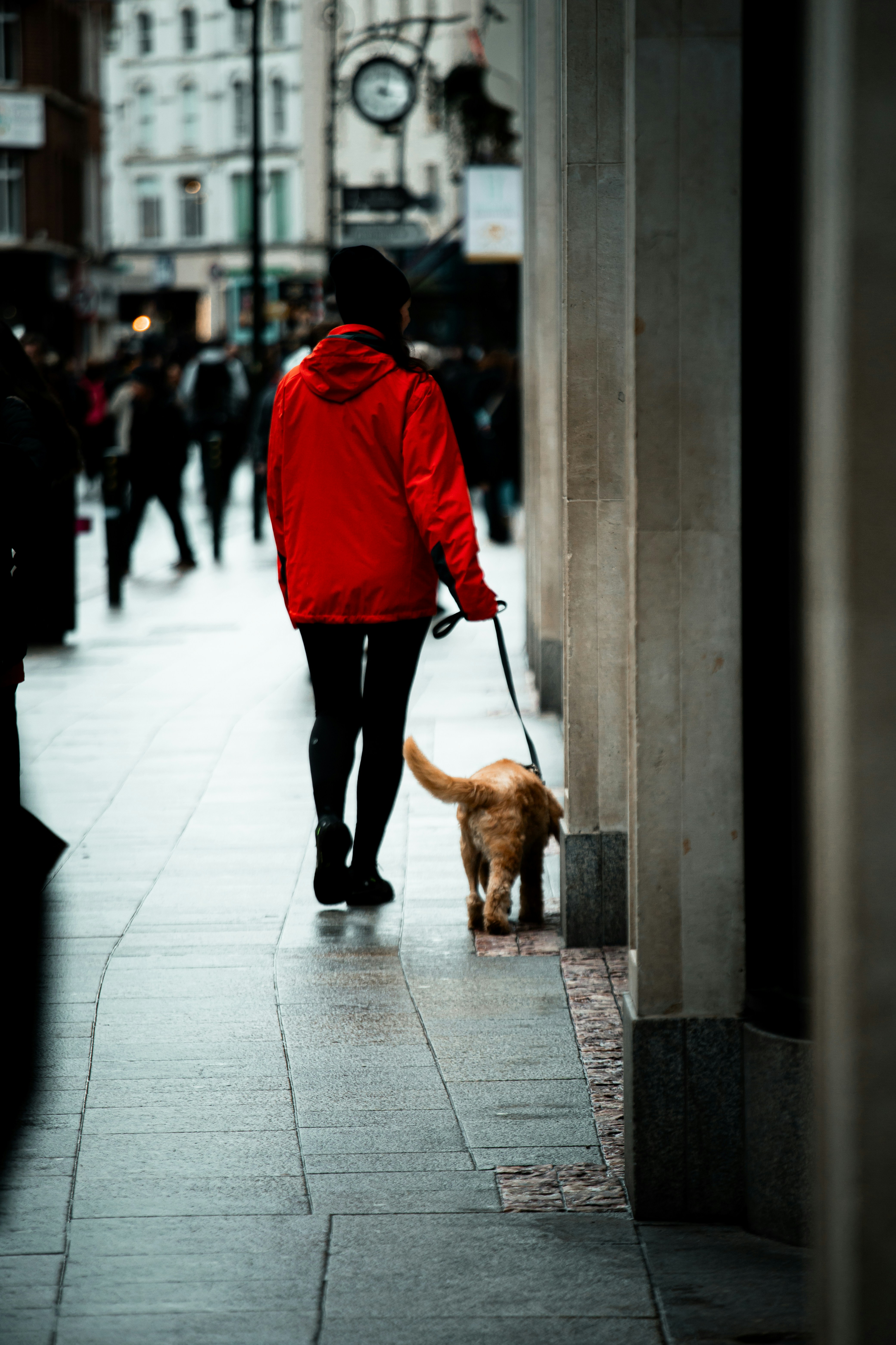 Red-Jacket Walk: A Woman and Her Dog Crossing a City Path