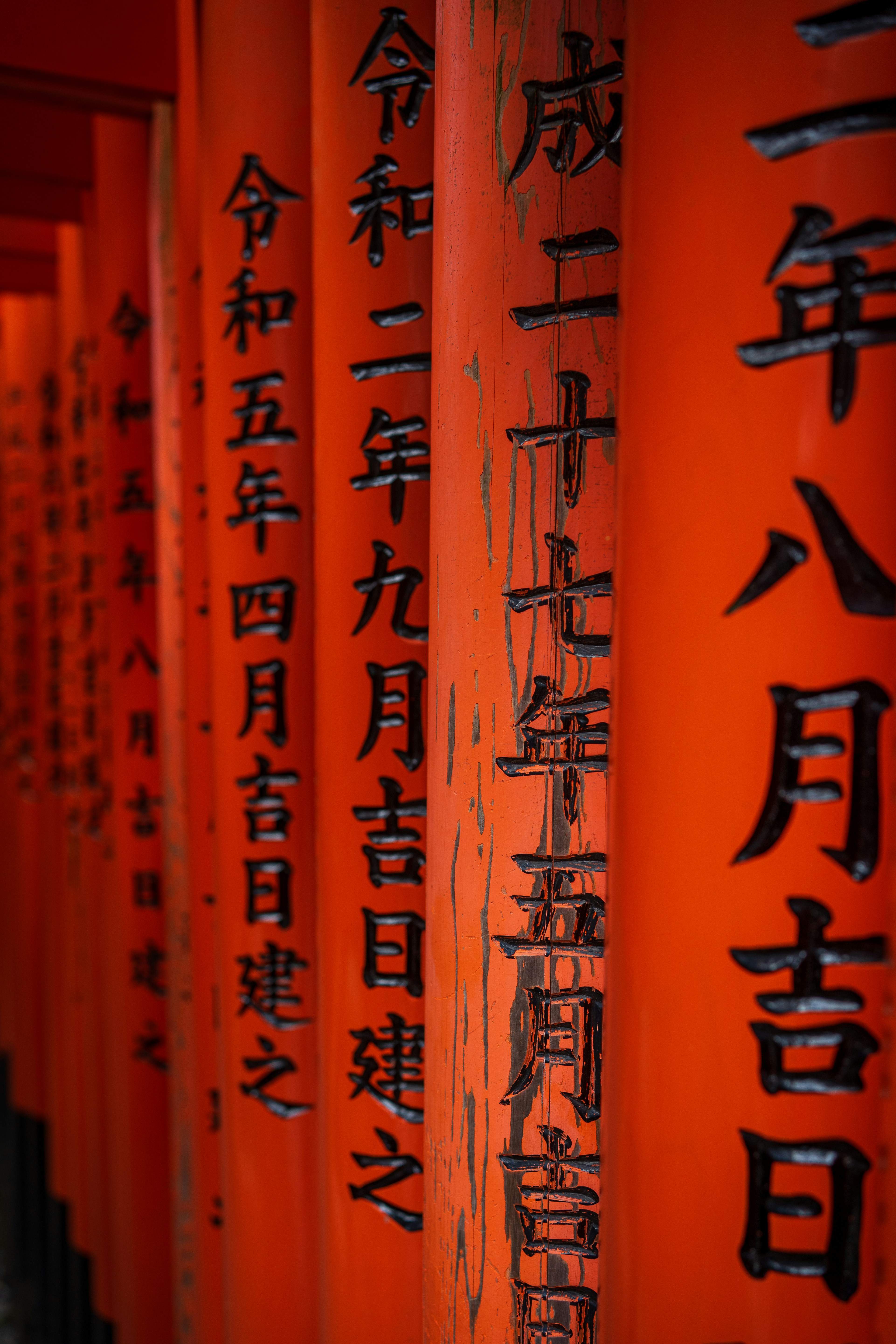 Lines of Fire: Red Torii Posts Speak in Ink and Echoes