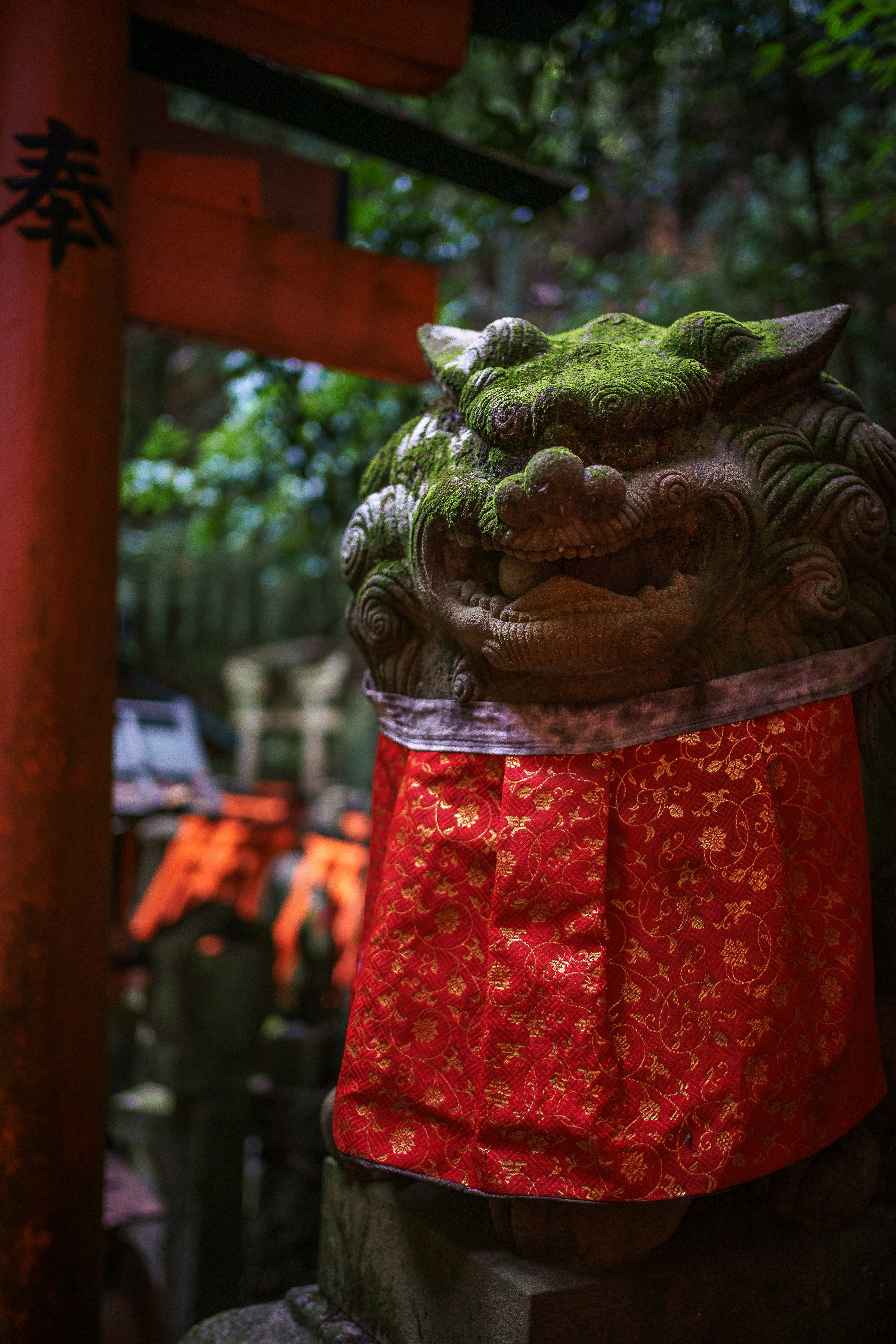 Moss-Crowned Guardian: A Red Robe Draped Shishi at a Shrine