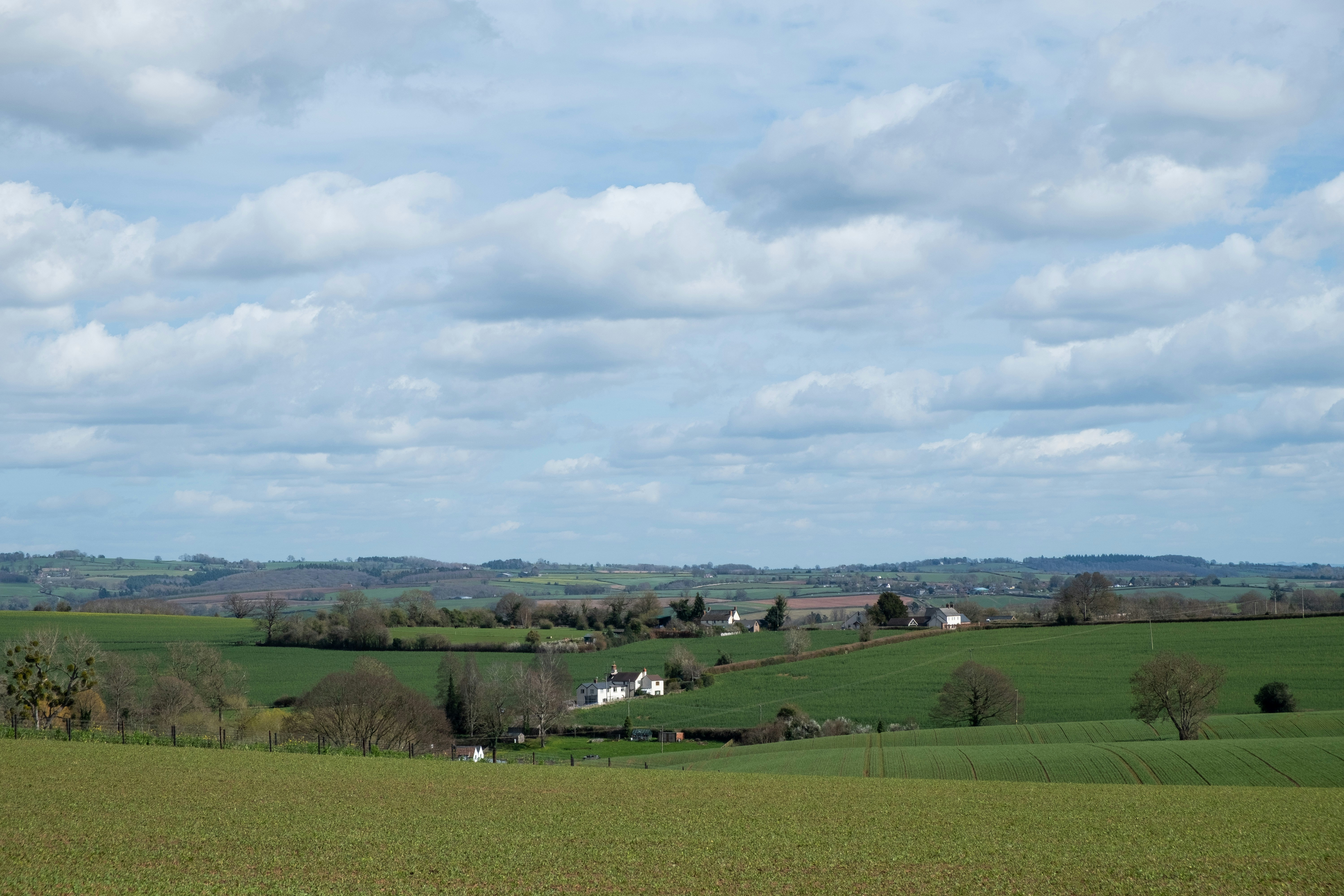 Horizon ofFields: Quiet rolling countryside under a quilt of clouds