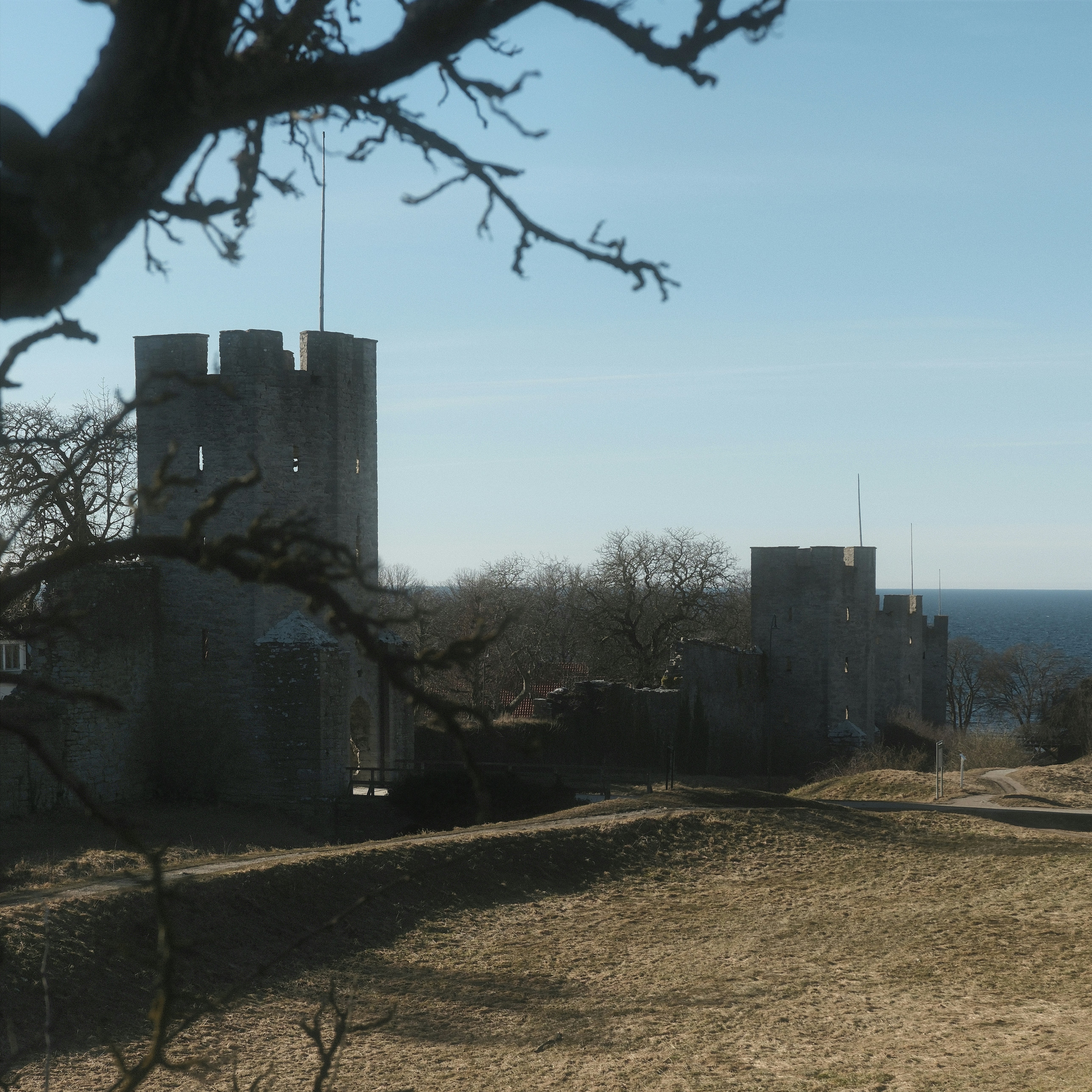 Moonlit Ruins by the Sea: A Coastal Castle Under Quiet Skies