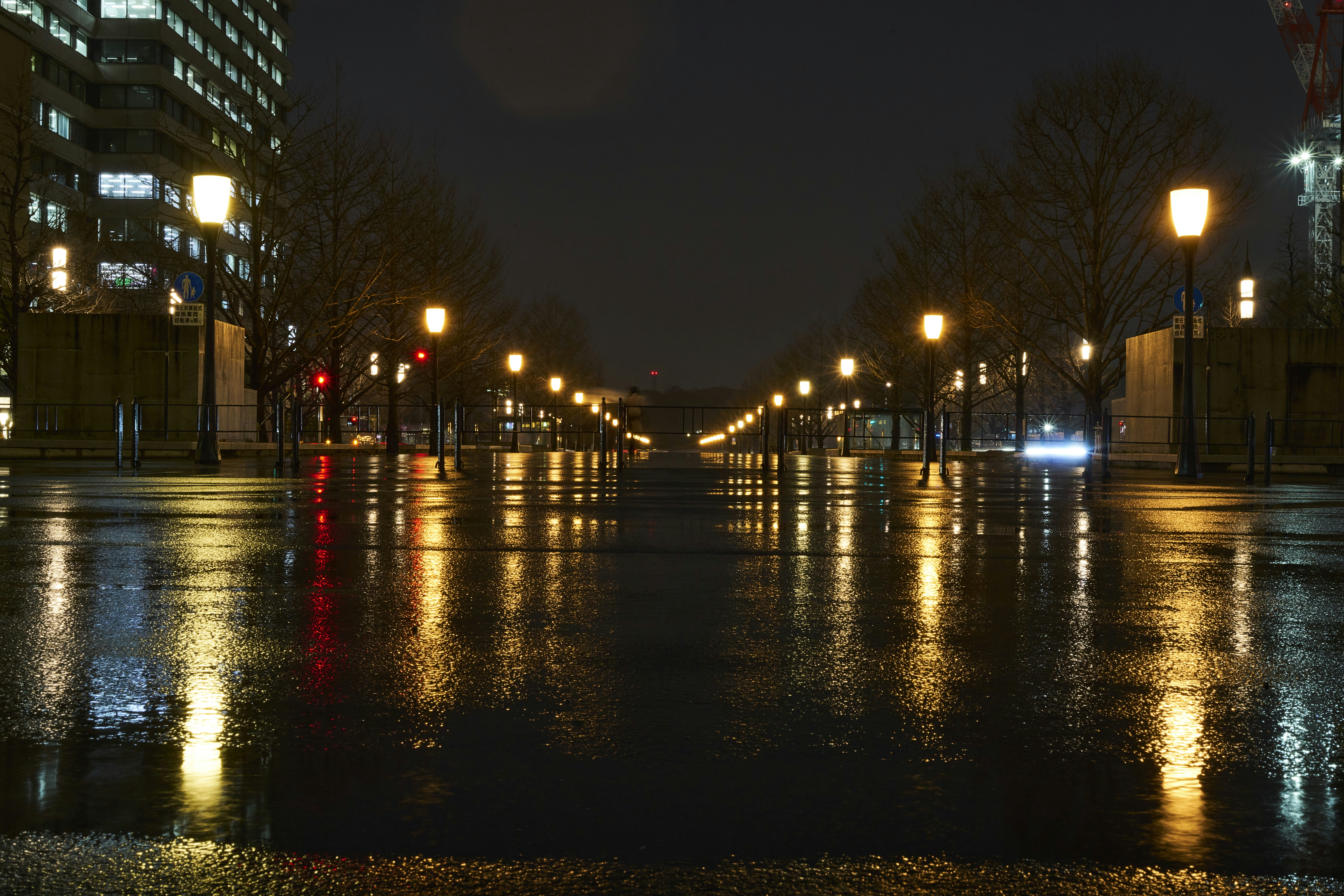 Night Avenue Reflections: Wet Streetlights Stretch Across a Quiet City Boulevard