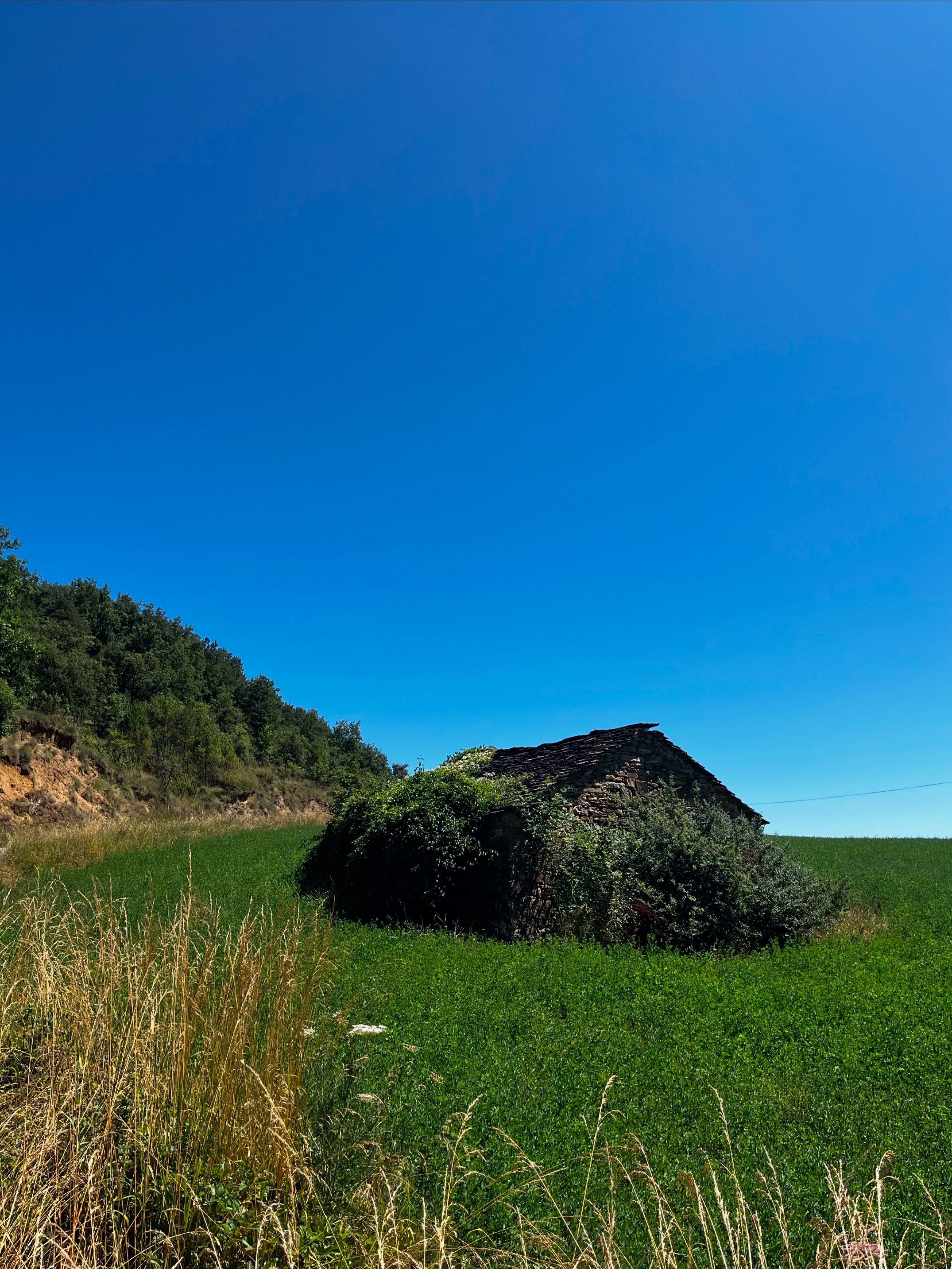 Stone shelter overgrown with vegetation sits in a green field under a clear blue sky.
