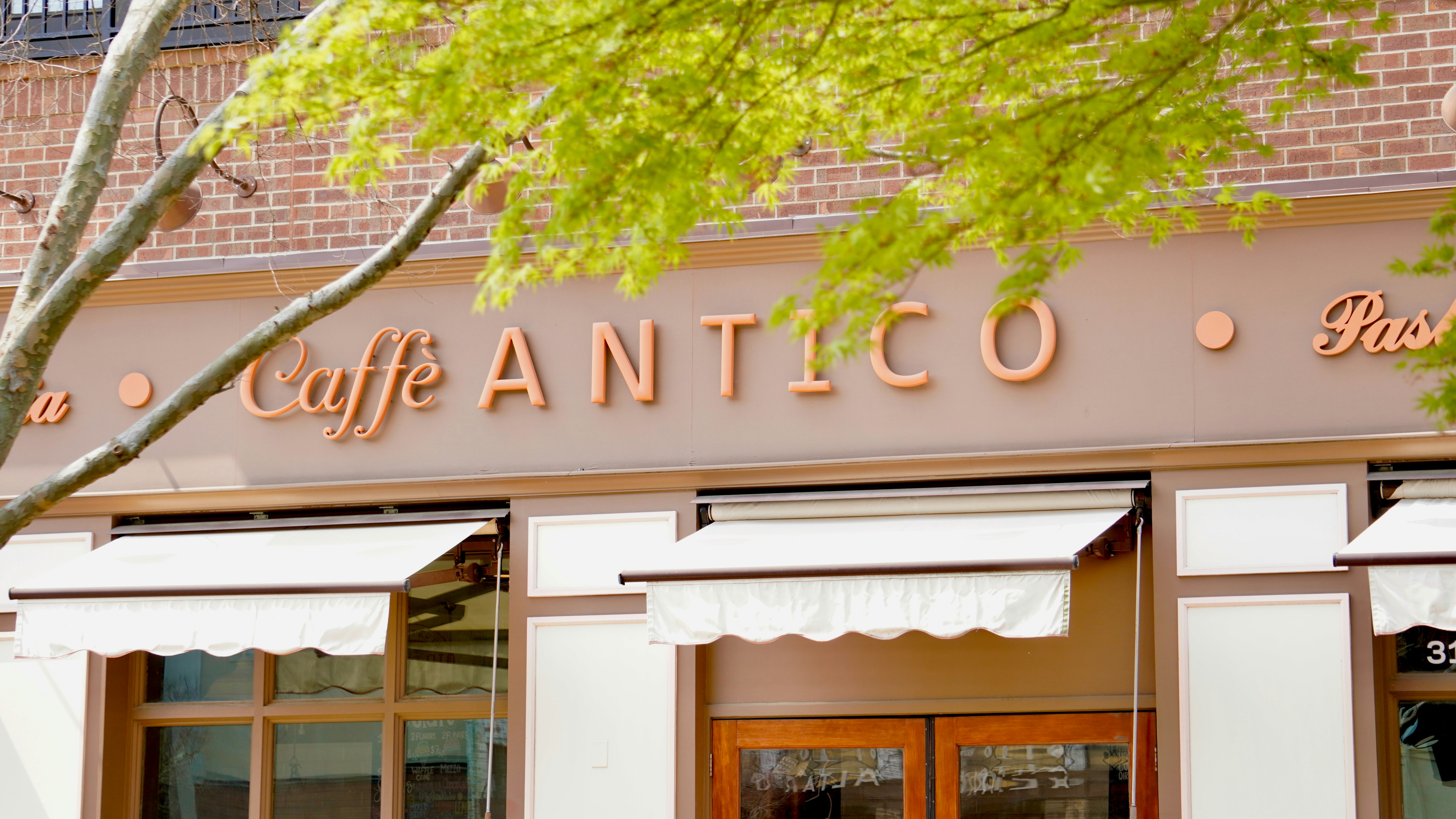 Antico Café Signage Framed by Green Canopy