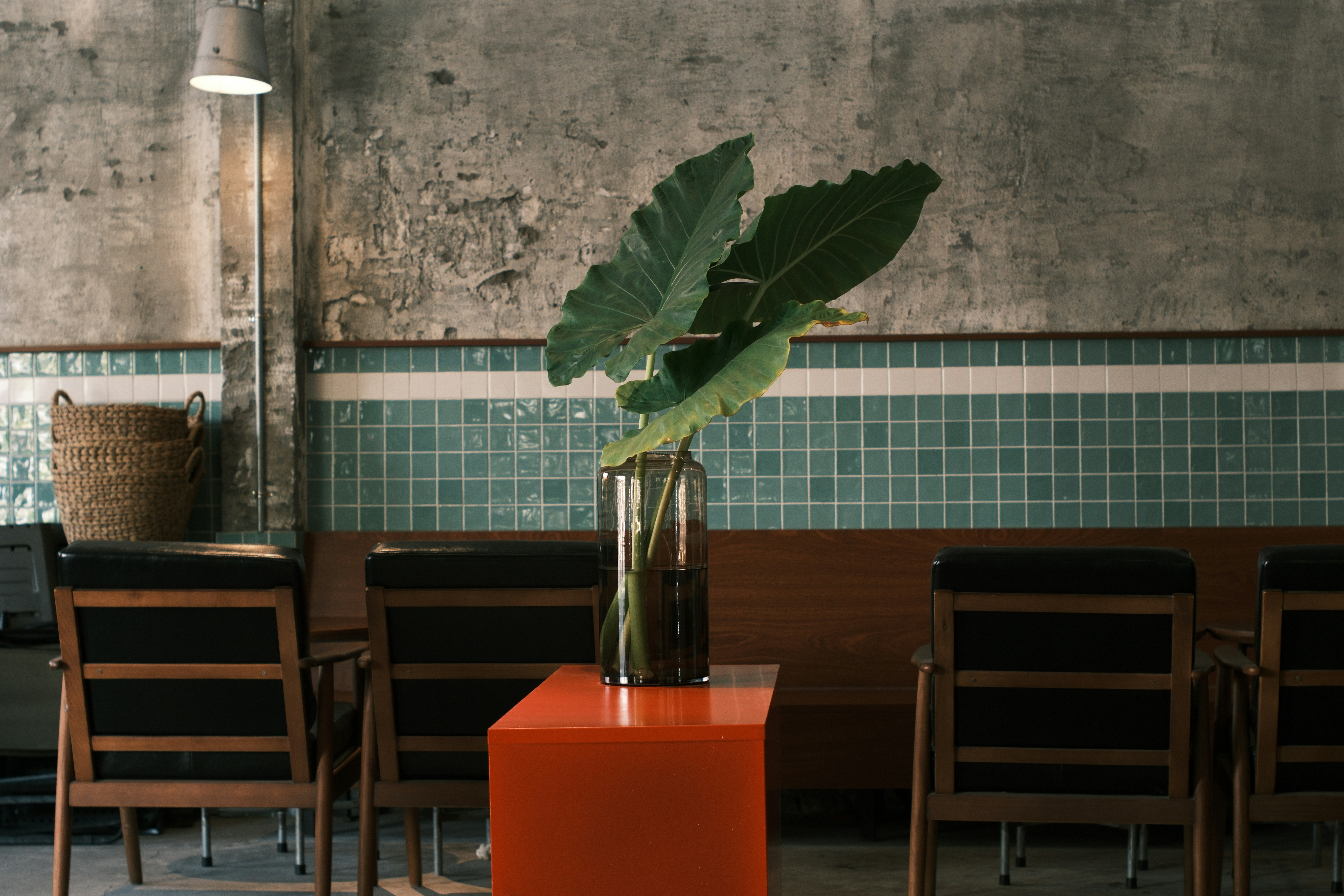Leaf on a pedestal: a quiet still life in a café interior