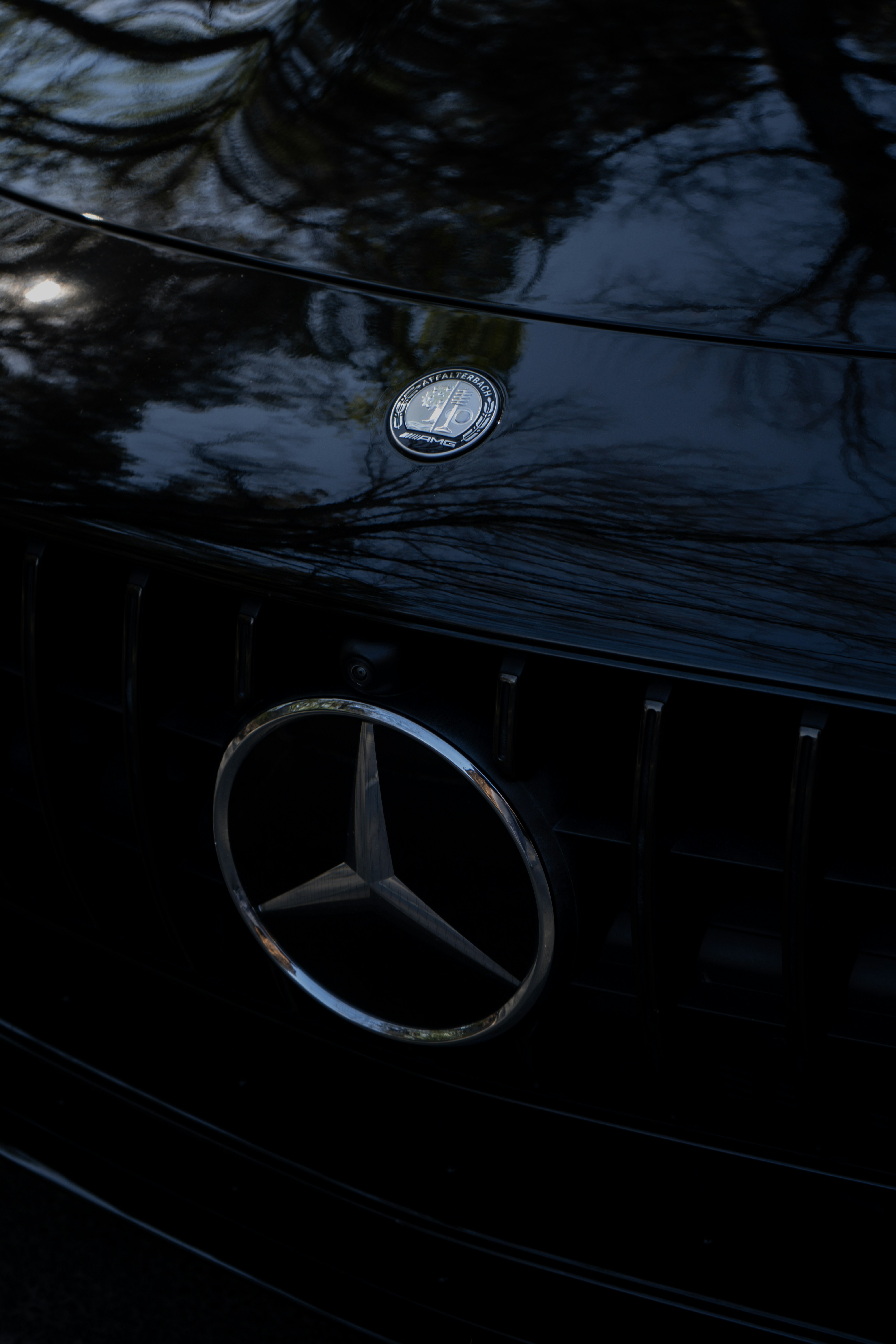 Chrome Emblem and Star: A Mercedes Crest Glimmering on a Darkened Mercedes Hood