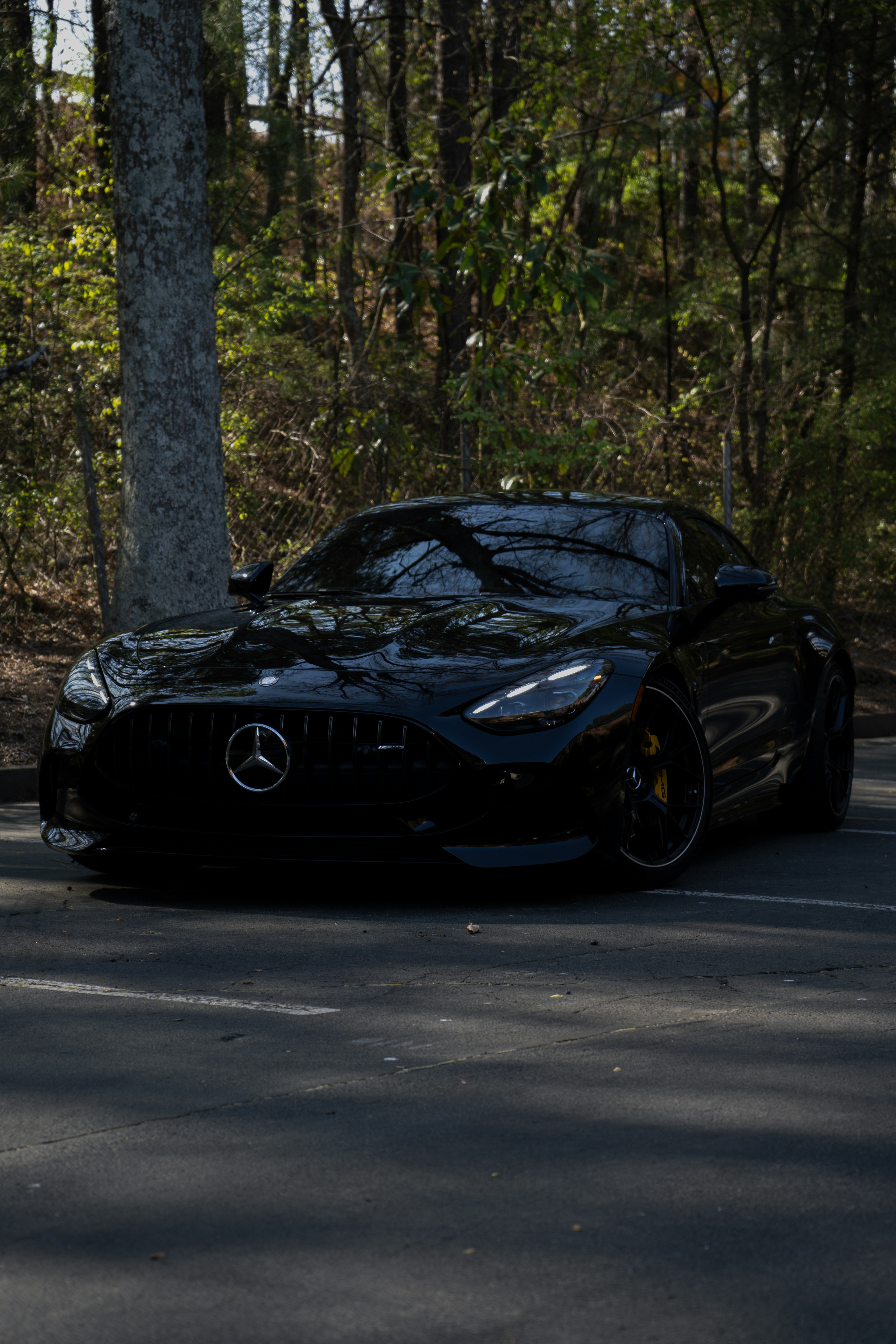 Midnight Mercedes: A Hidden Shine Between Trees