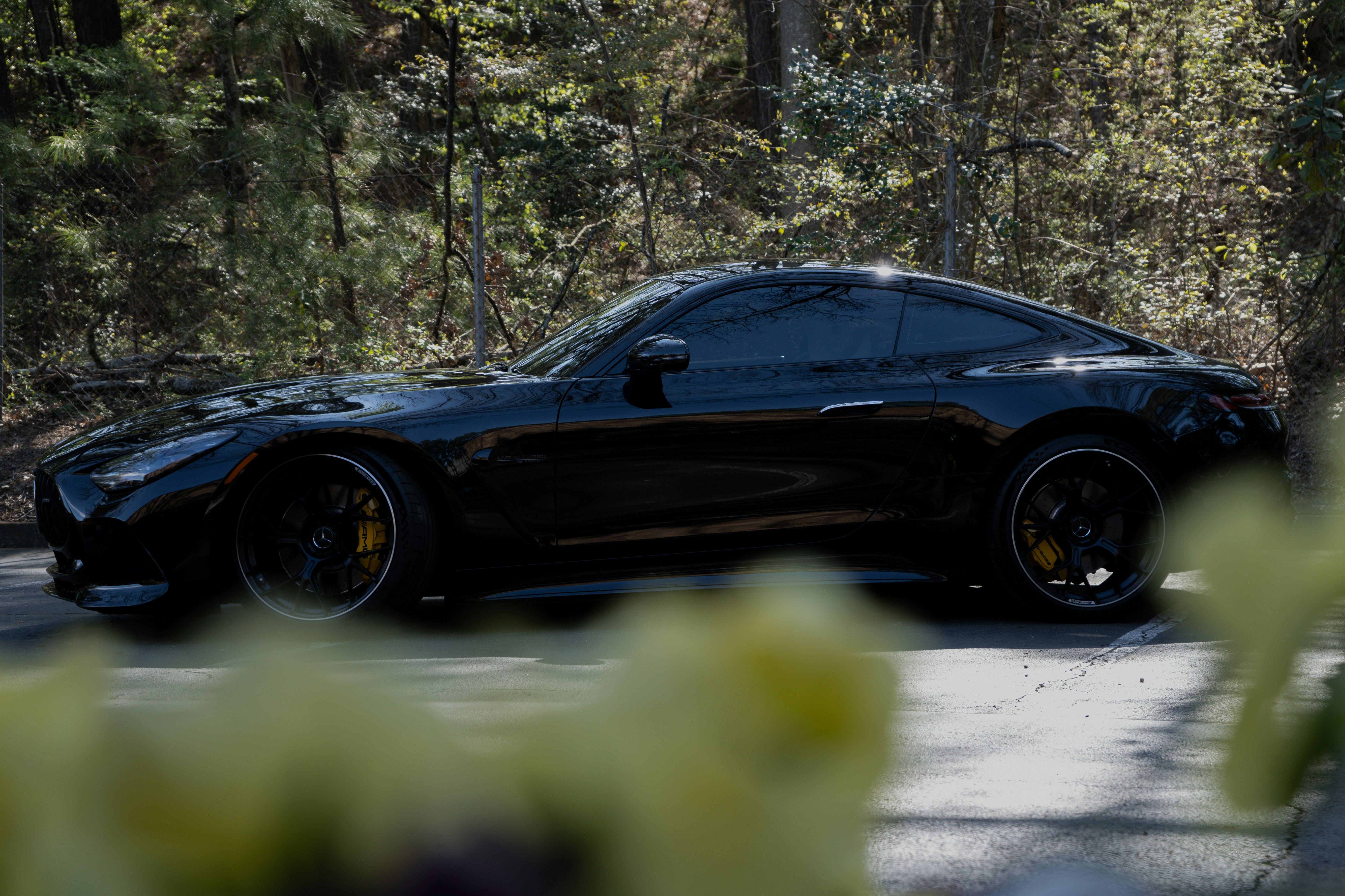 Midnight silhouette: a sleek coupe resting along a sunlit roadside