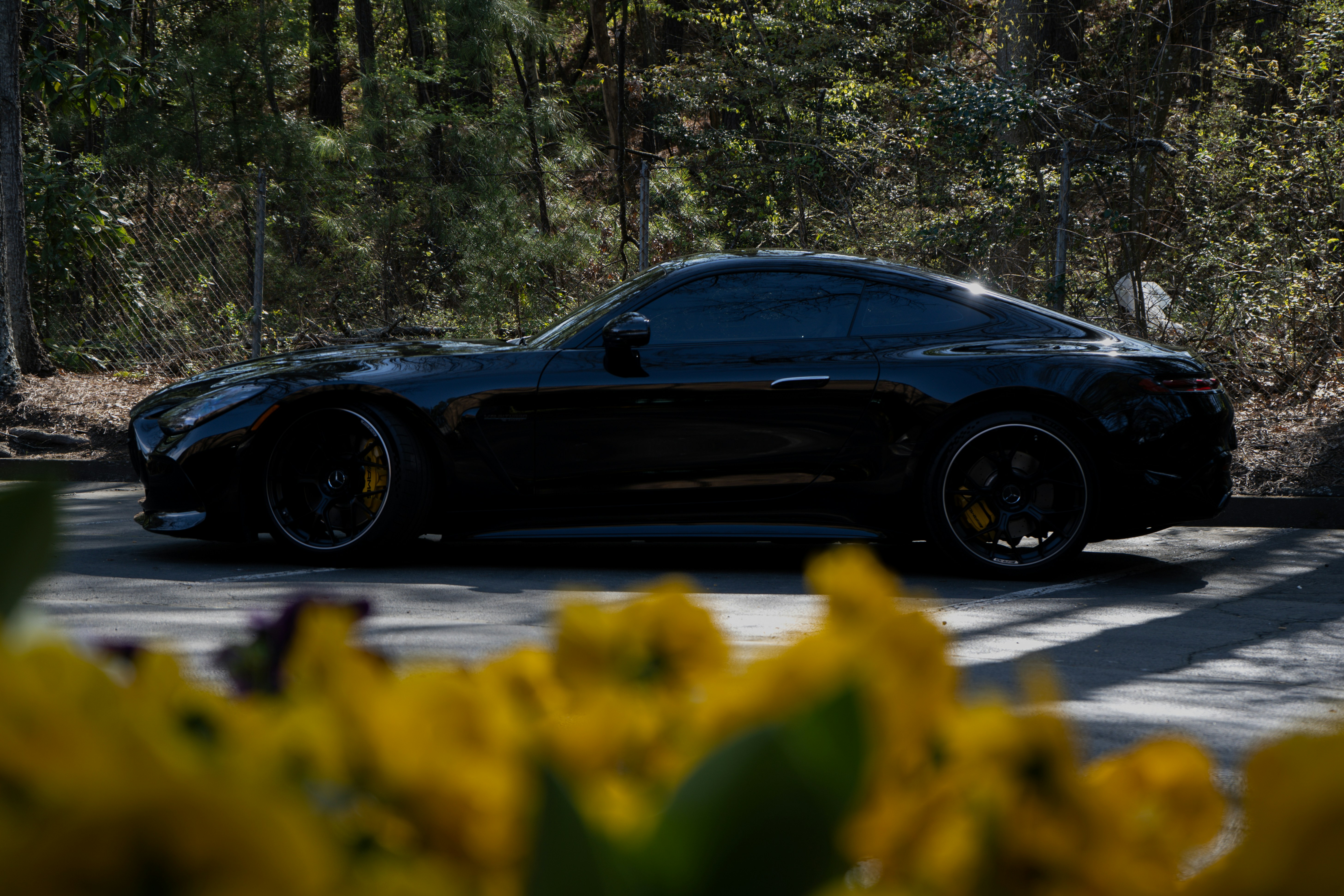 Midday Shadow: A Sleek Black Camaro Graced by Fence-line Light
